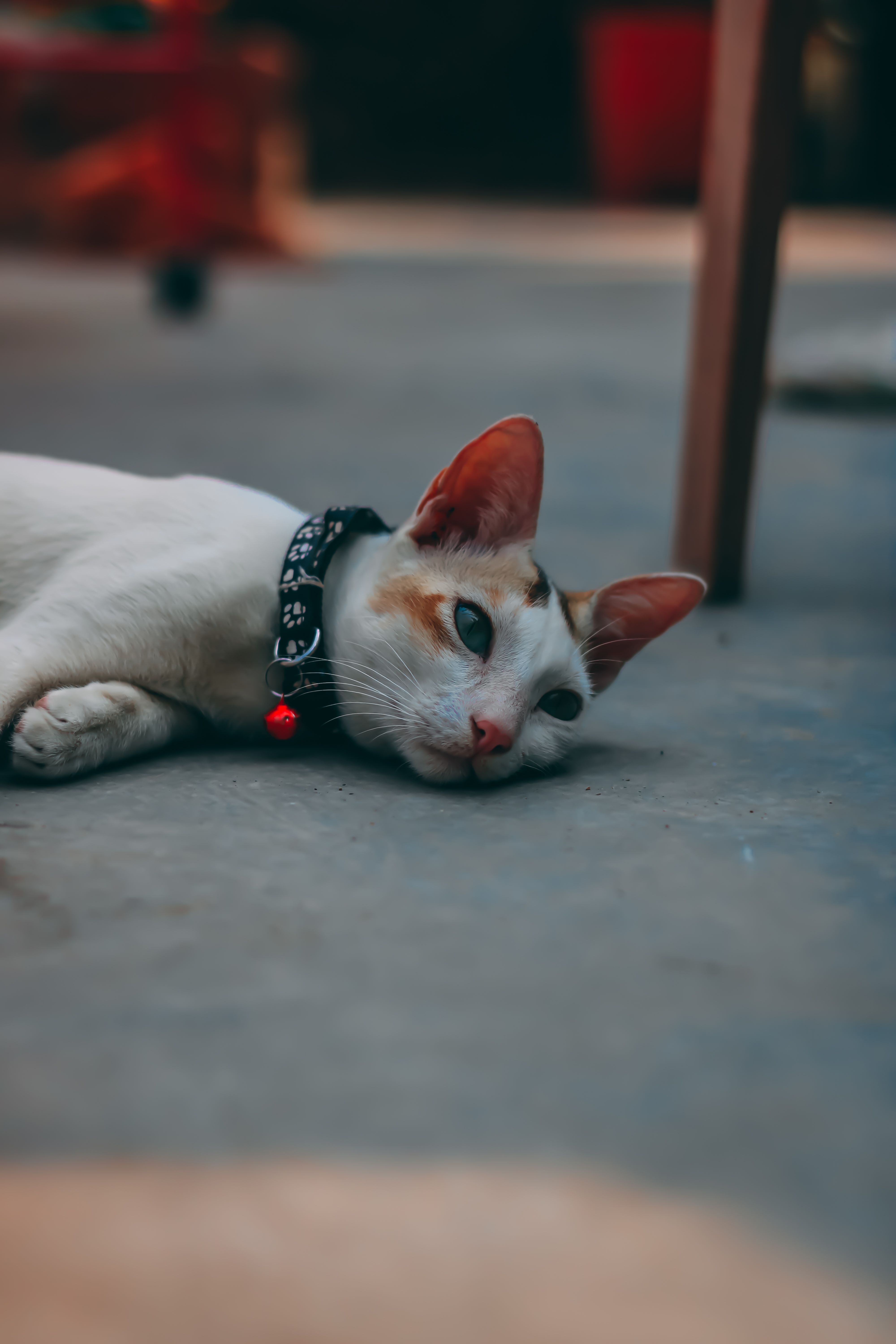 Slap Floor Photos, Download The BEST Free Slap Floor Stock Photos & HD ...