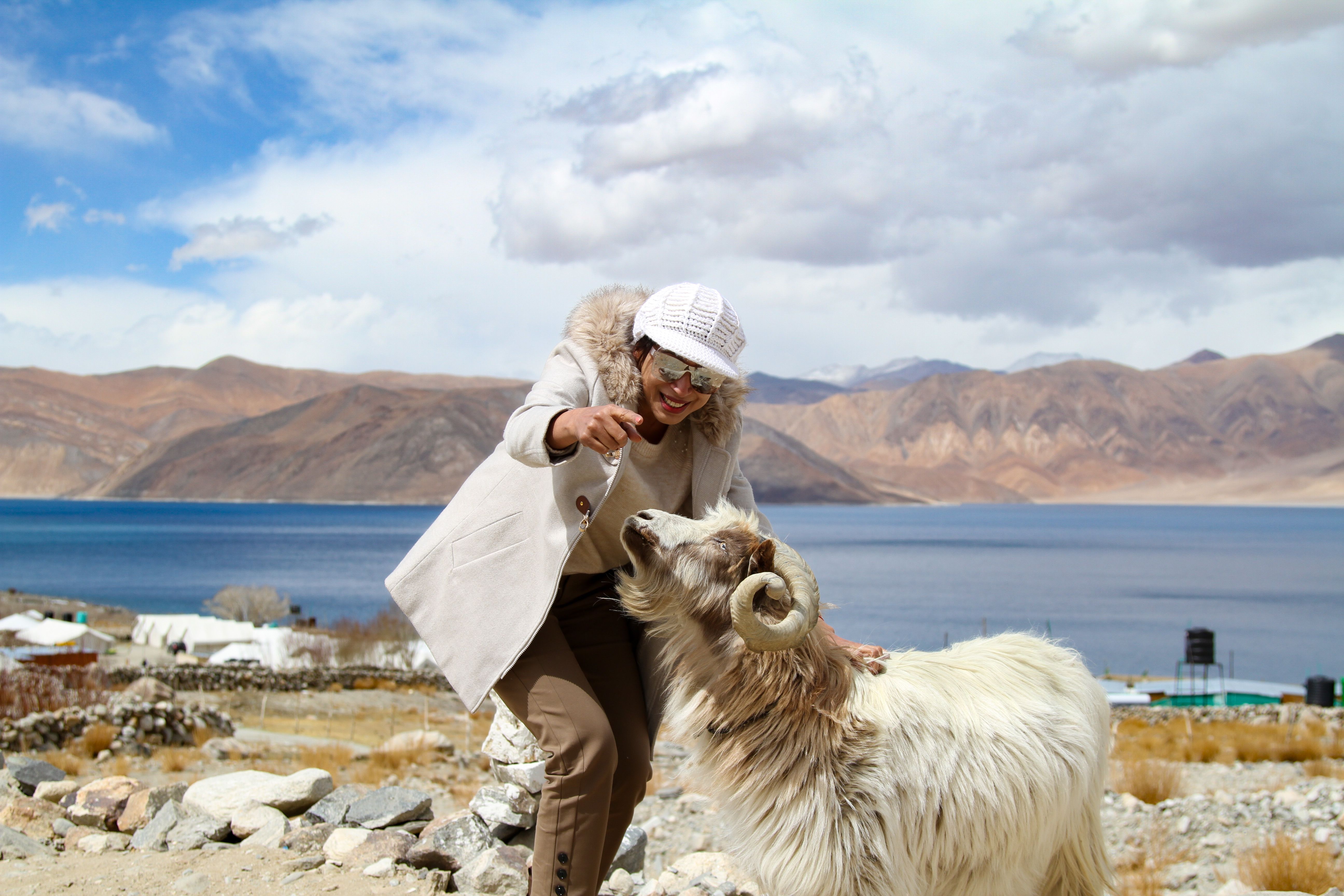 A Person with a Ram · Free Stock Photo