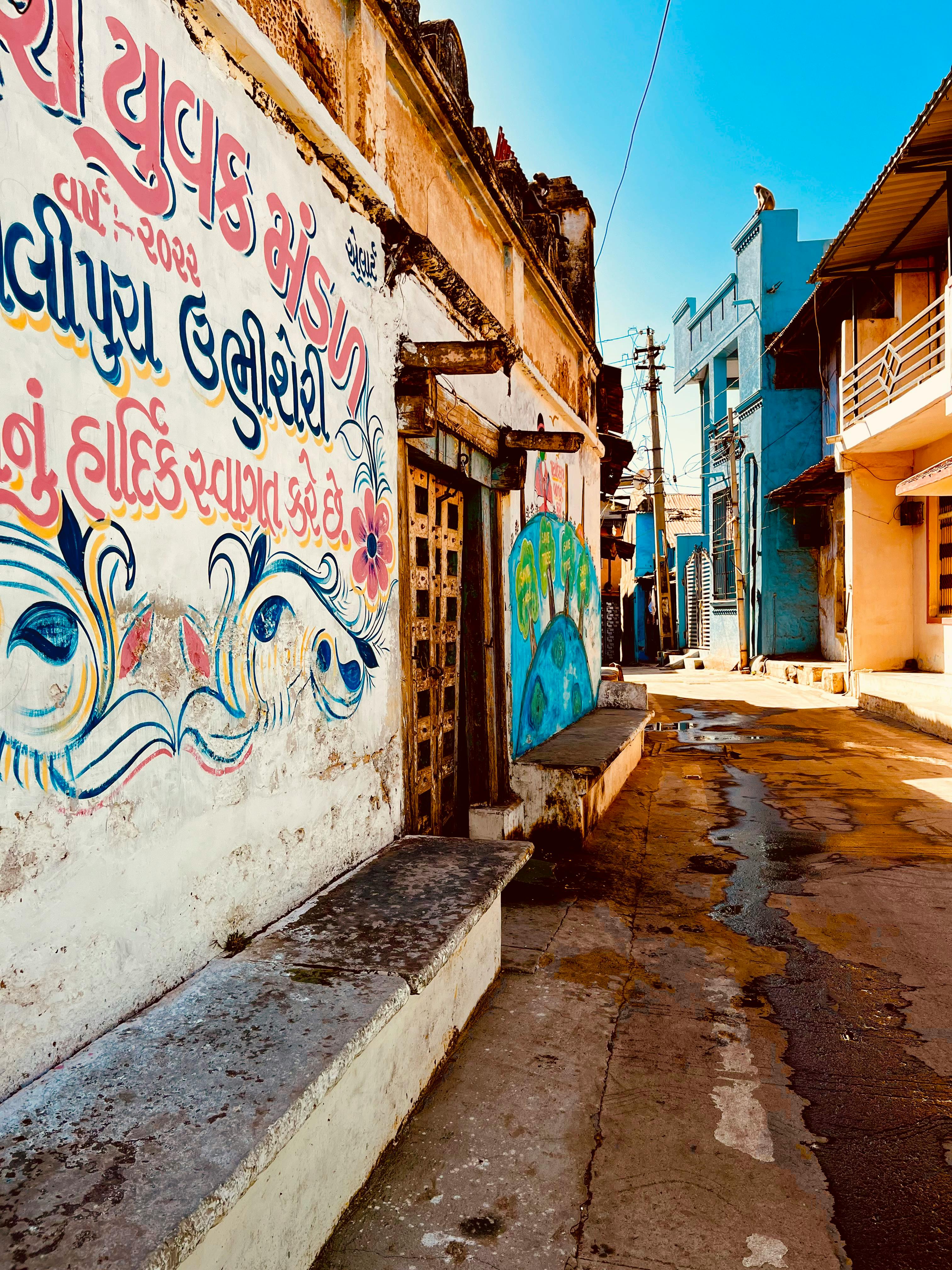 Henil Patel - Photographie