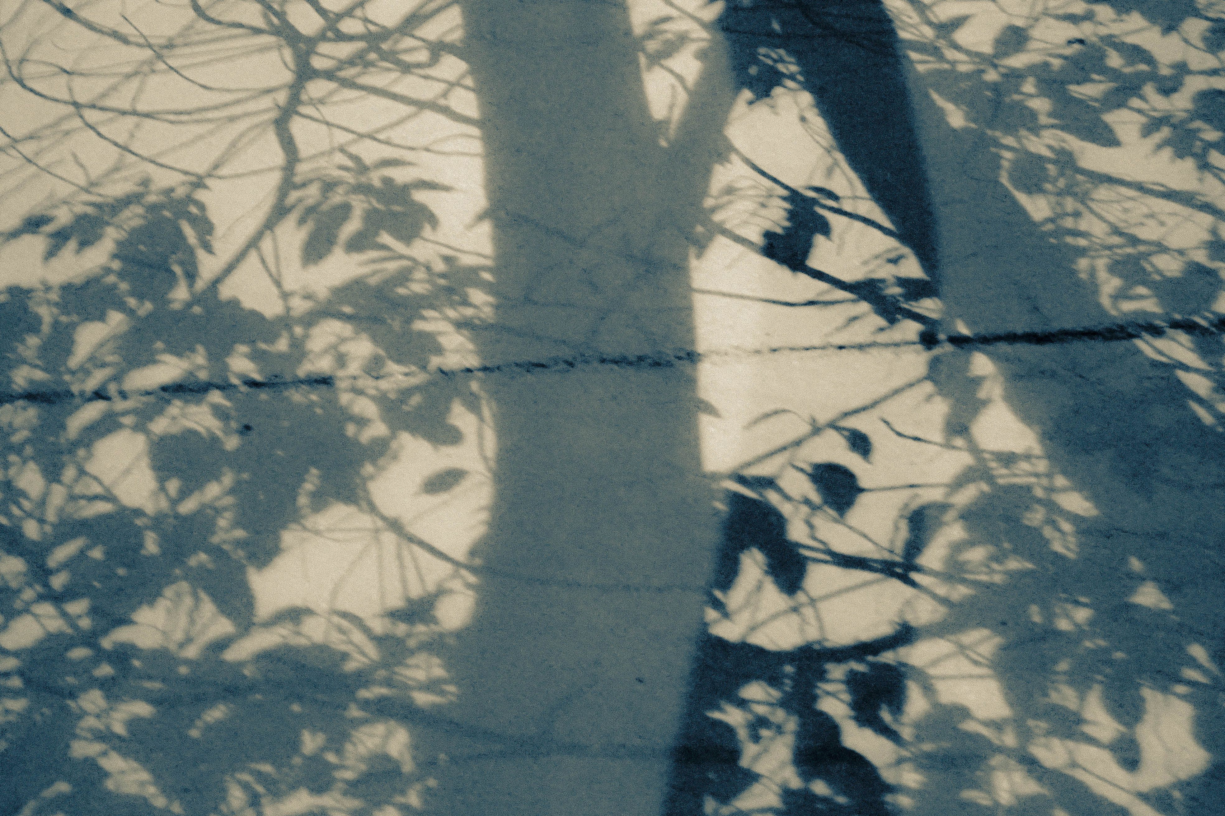 Shaded Images Photos, Download The BEST Free Shaded Images Stock Photos ...