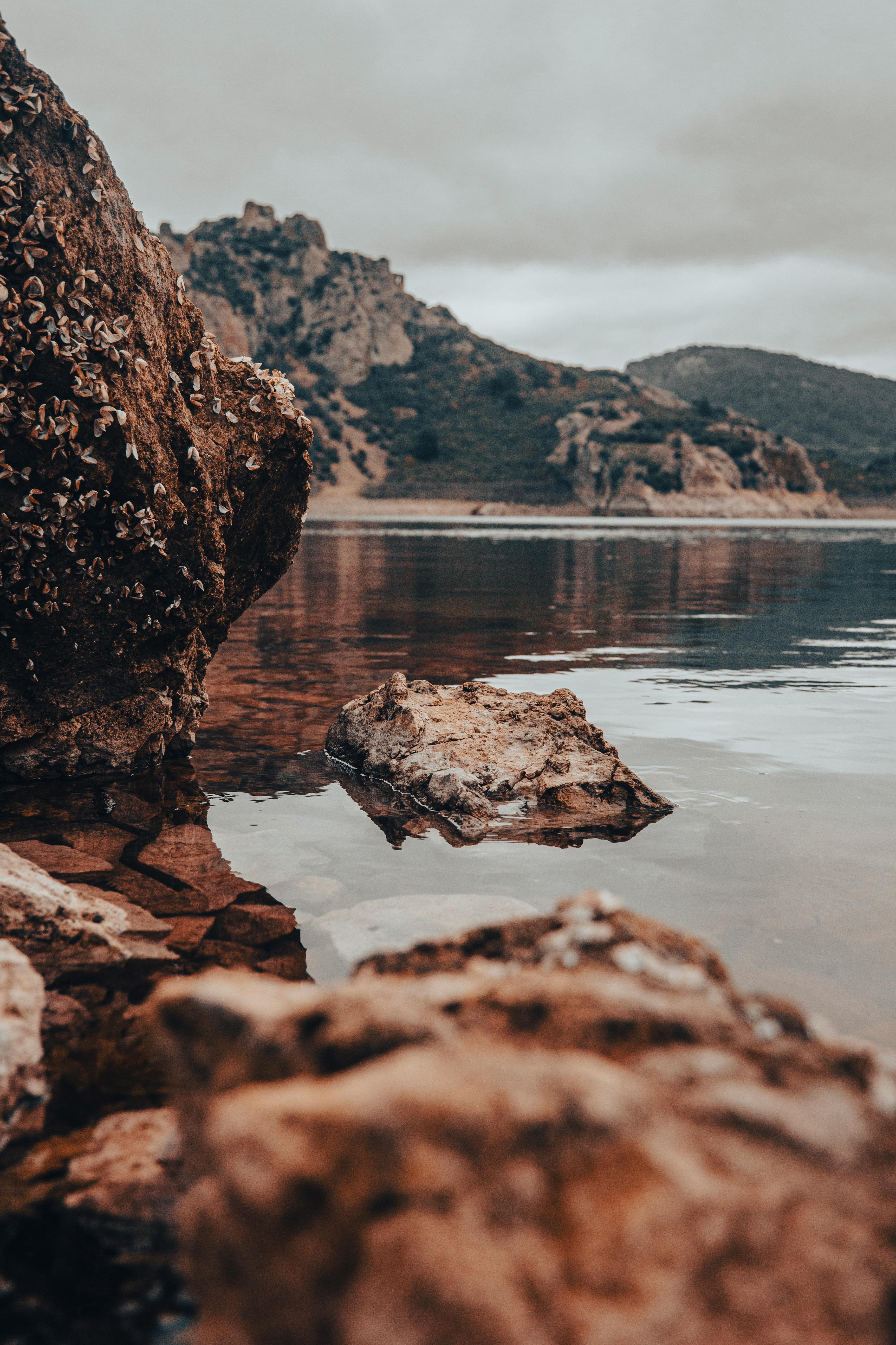 Rocks on Sea Shore · Free Stock Photo