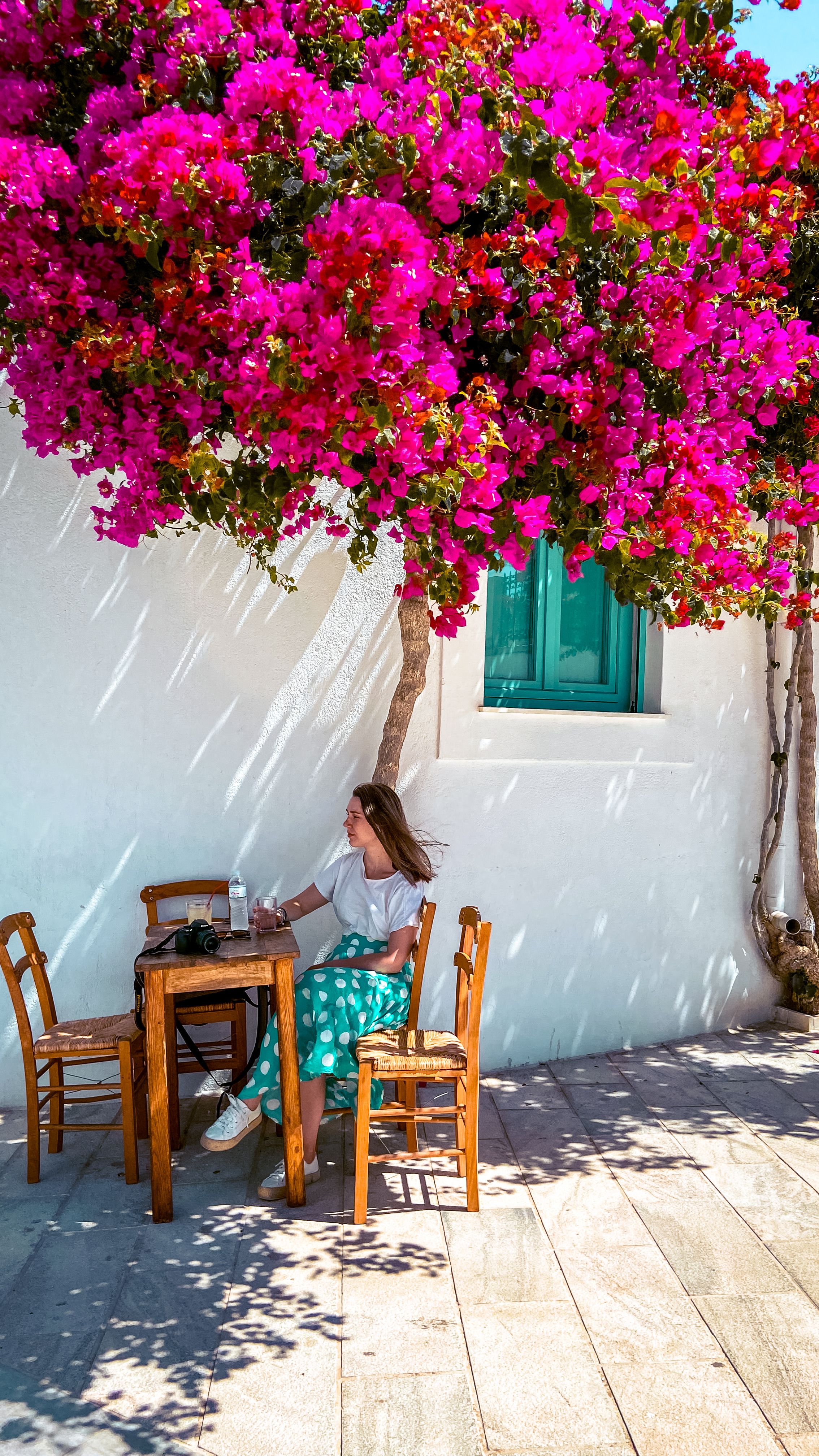 Wooden Chair Under the Tree · Free Stock Photo