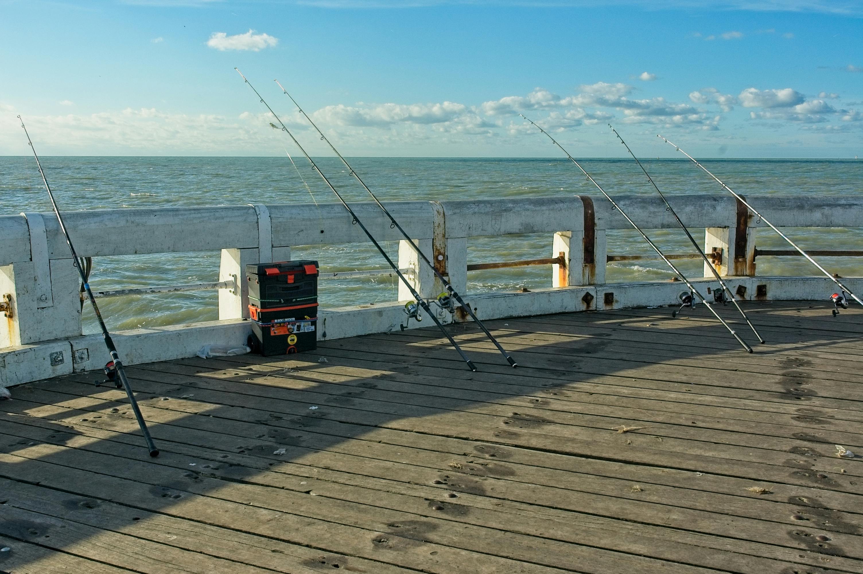 Fishing Rods on a Pier · Free Stock Photo