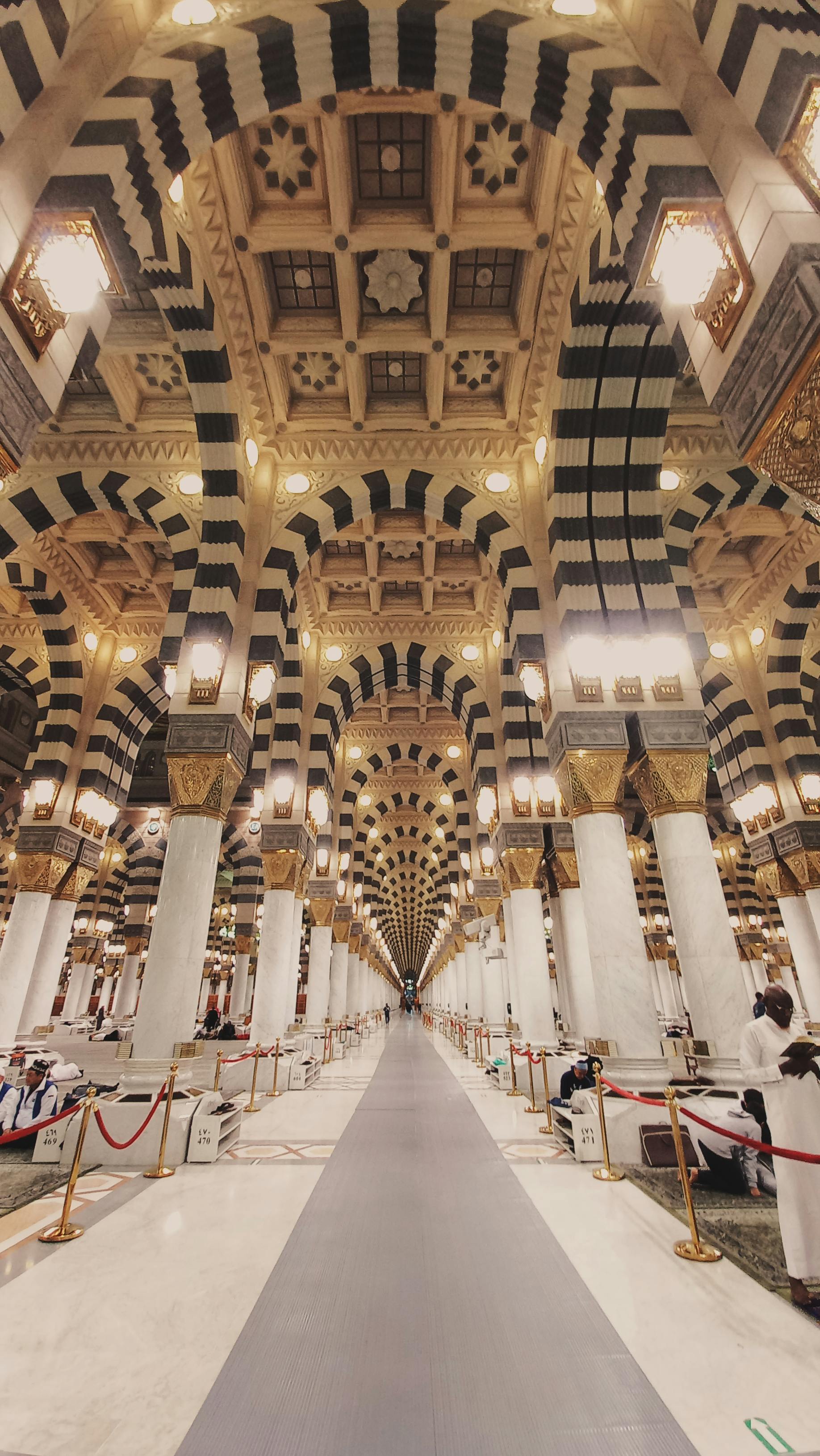 Ceha Rabbani - Photography