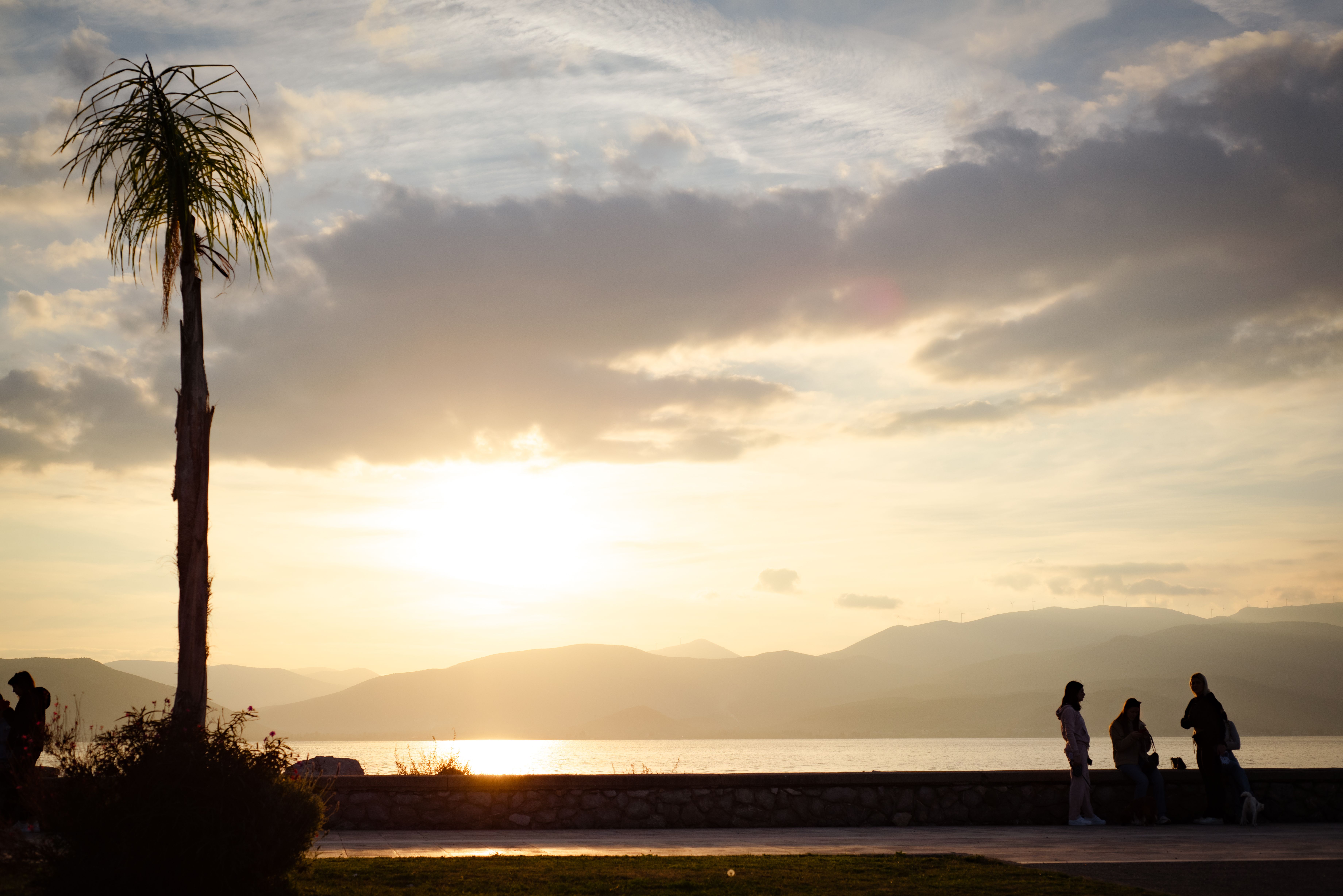 Sunlight over People Standing by Wall on Shore · Free Stock Photo