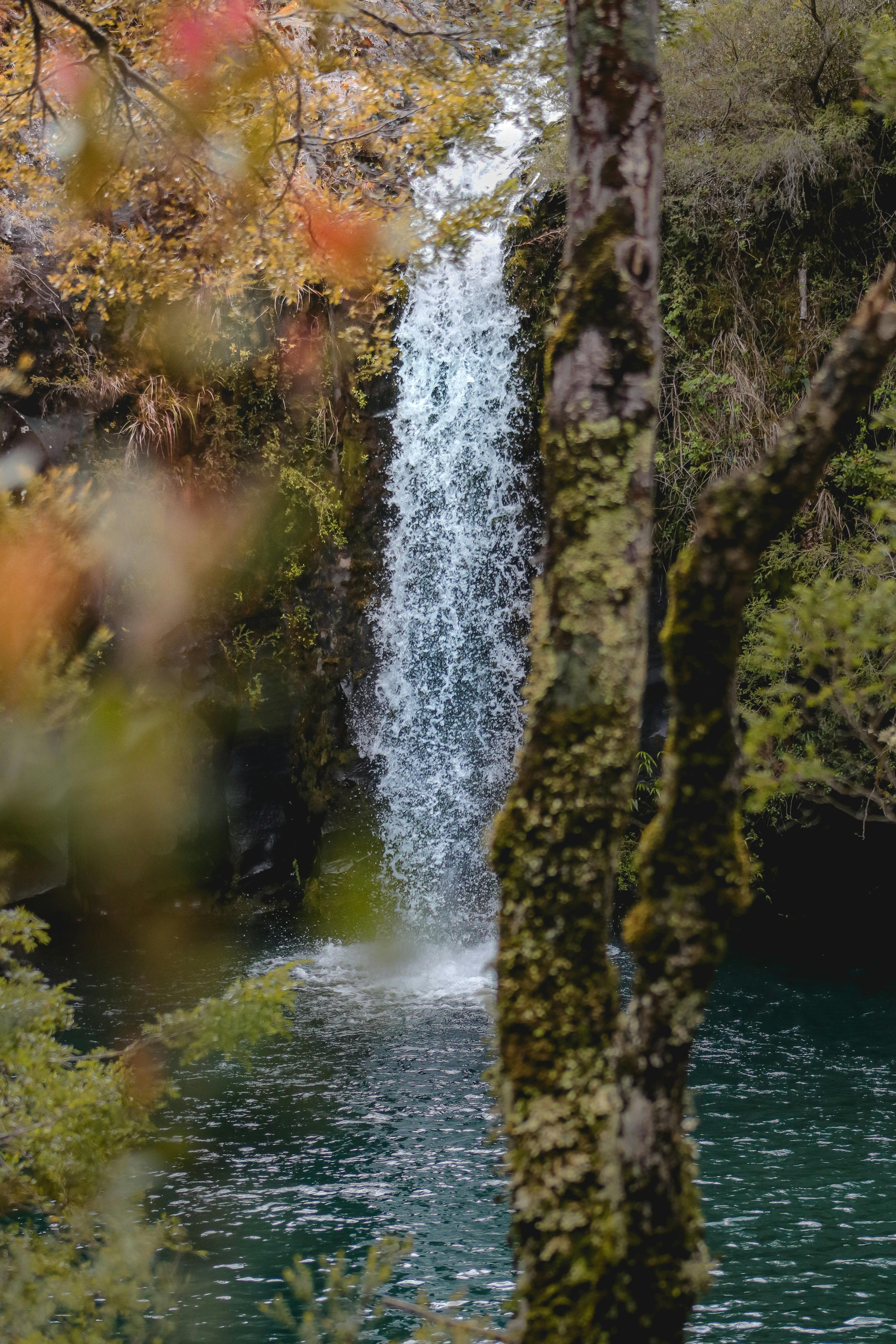 Waterfall Falling into Lake · Free Stock Photo