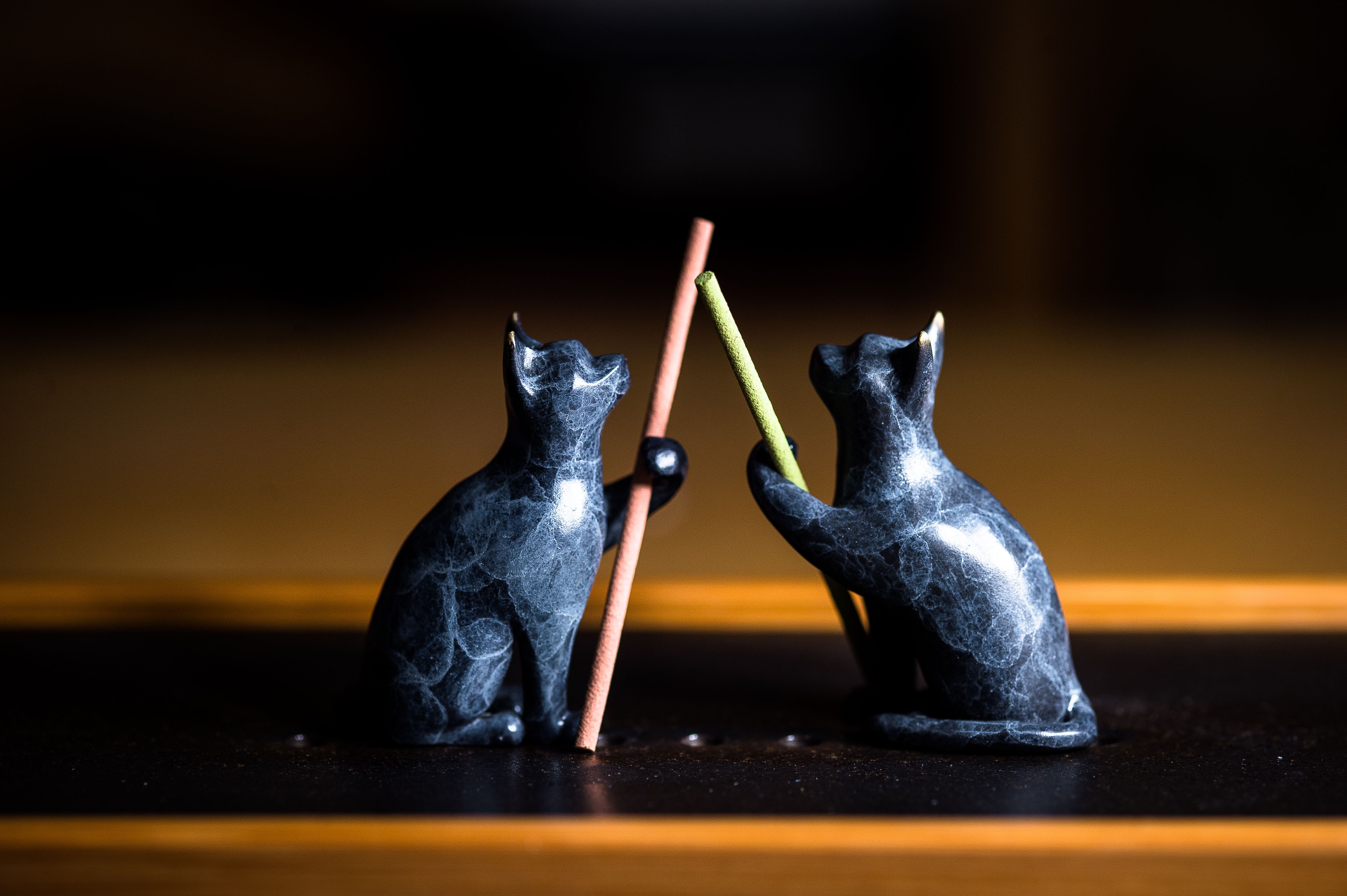 Cats Salon Photos, Download The BEST Free Cats Salon Stock Photos & HD ...