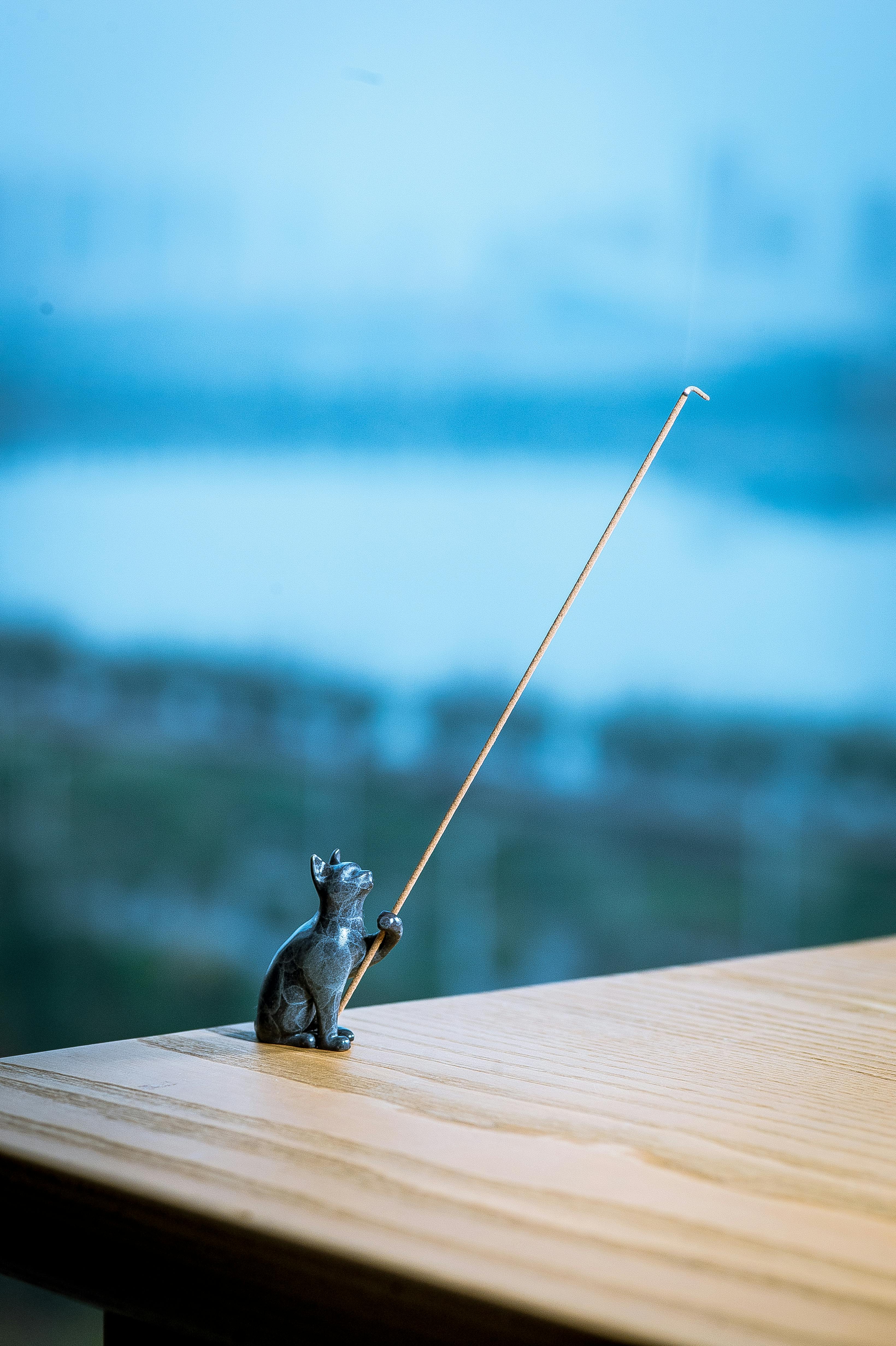 Focus Object Photos, Download The BEST Free Focus Object Stock Photos ...