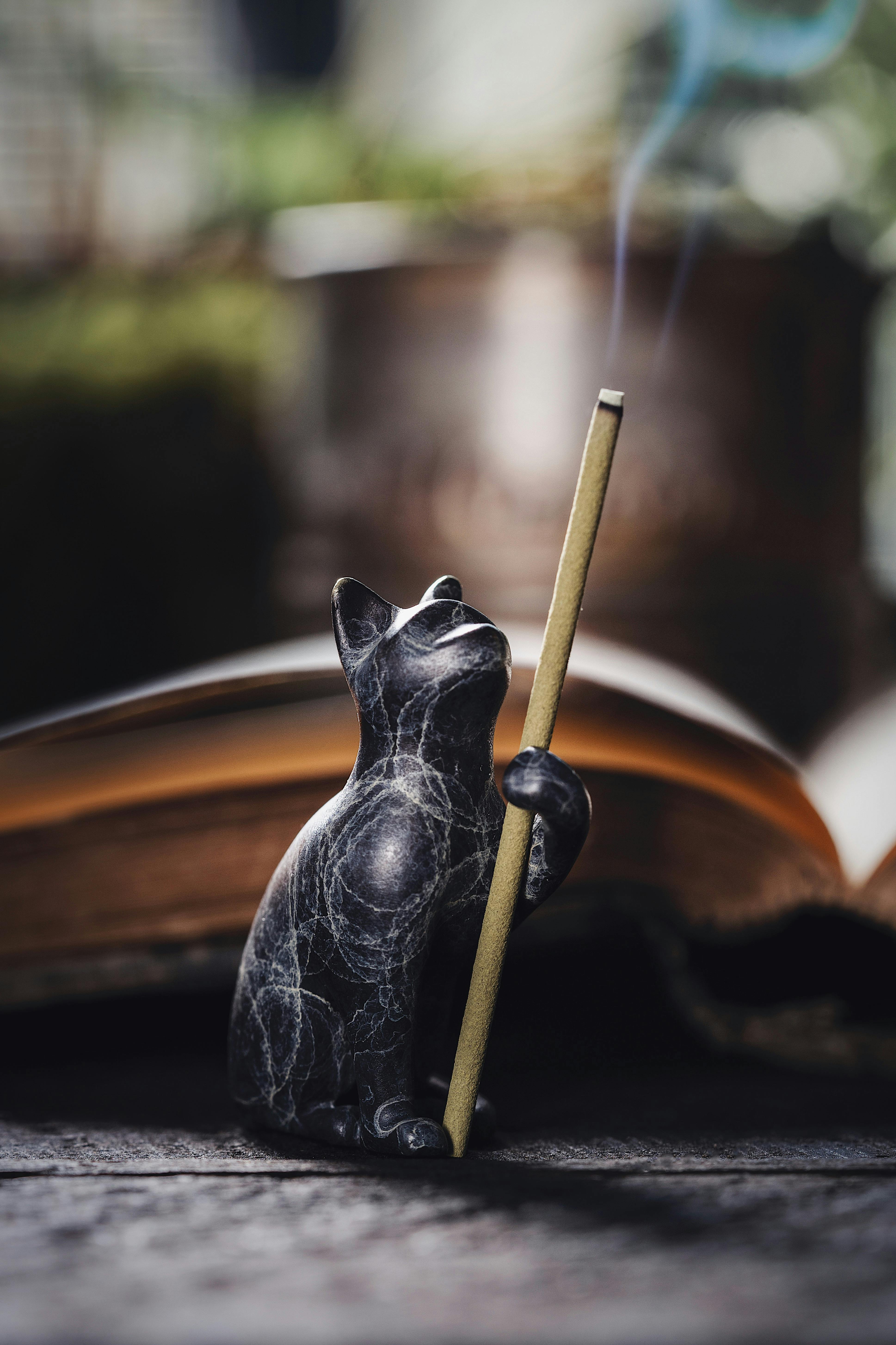 Close-up Photograph of a Lit Incense · Free Stock Photo