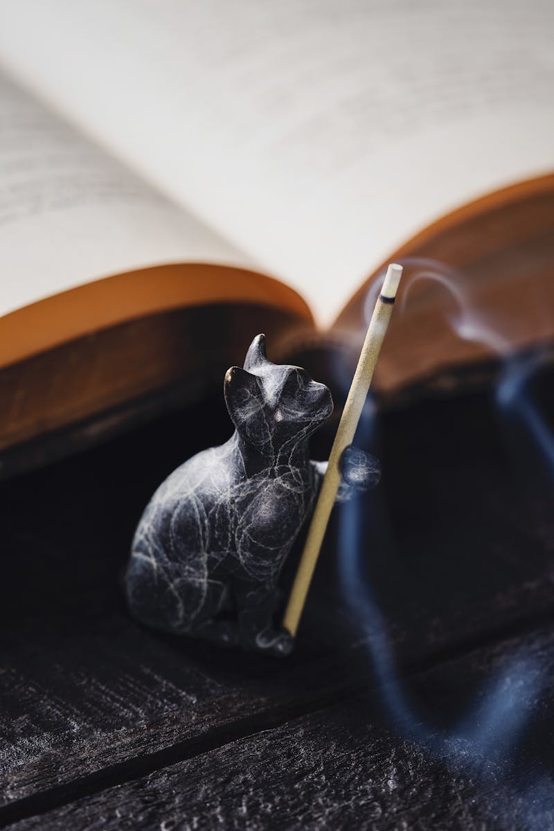 Cat Smoking Photos, Download The BEST Free Cat Smoking Stock Photos ...