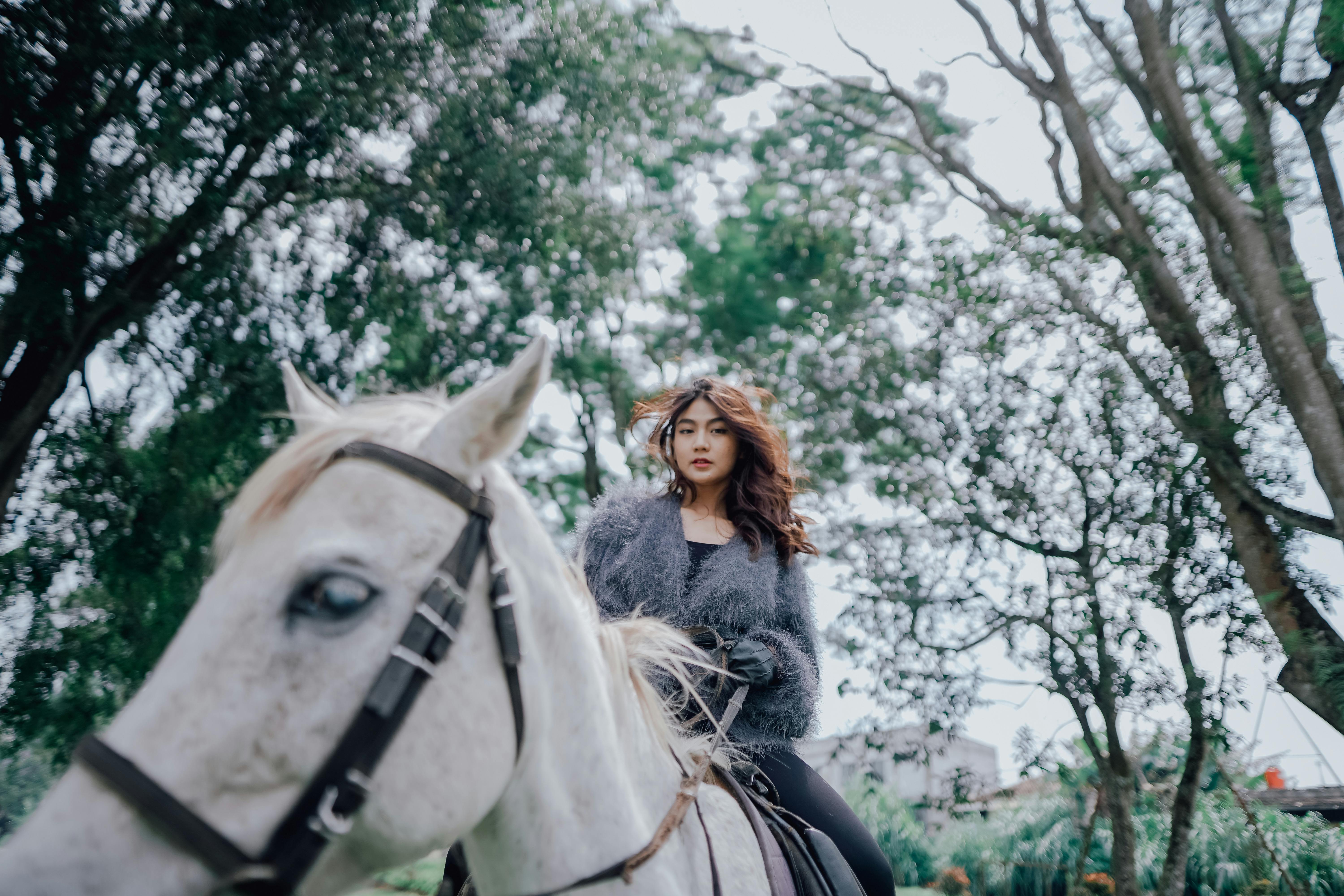 Beautiful Women With Horse Photos, Download The BEST Free Beautiful ...