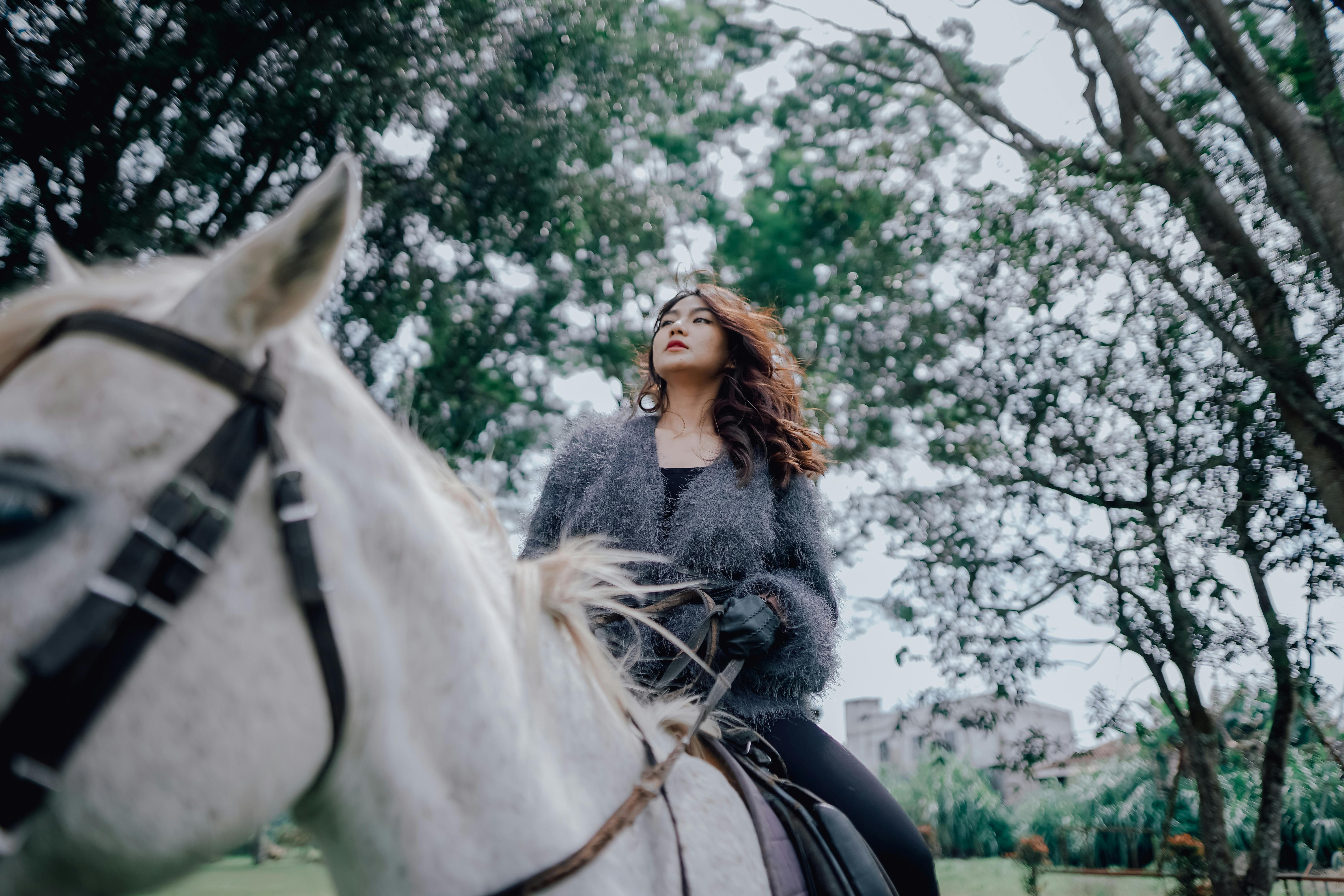 Woman Horse Riding · Free Stock Photo