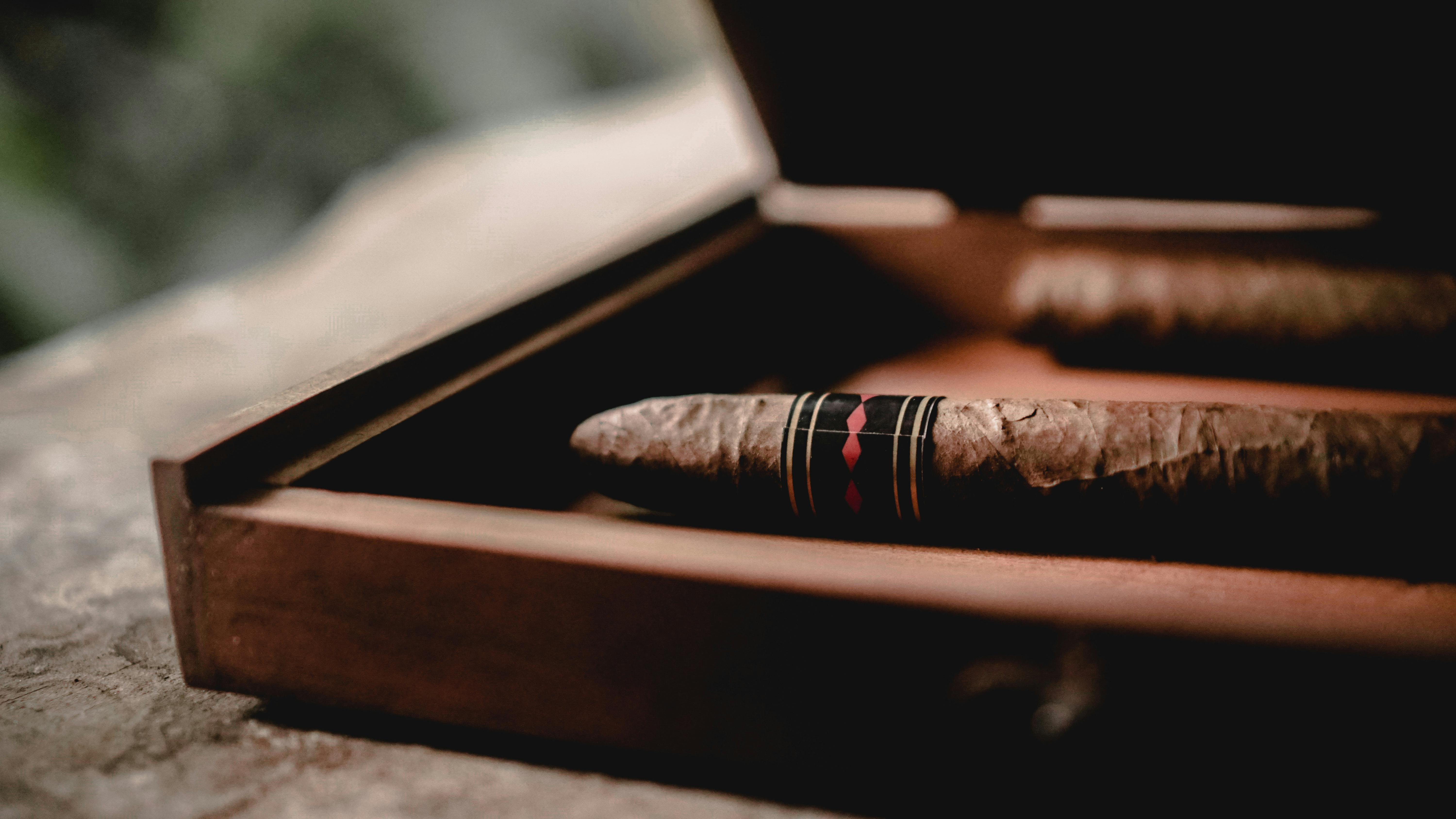 Cigar in Box · Free Stock Photo