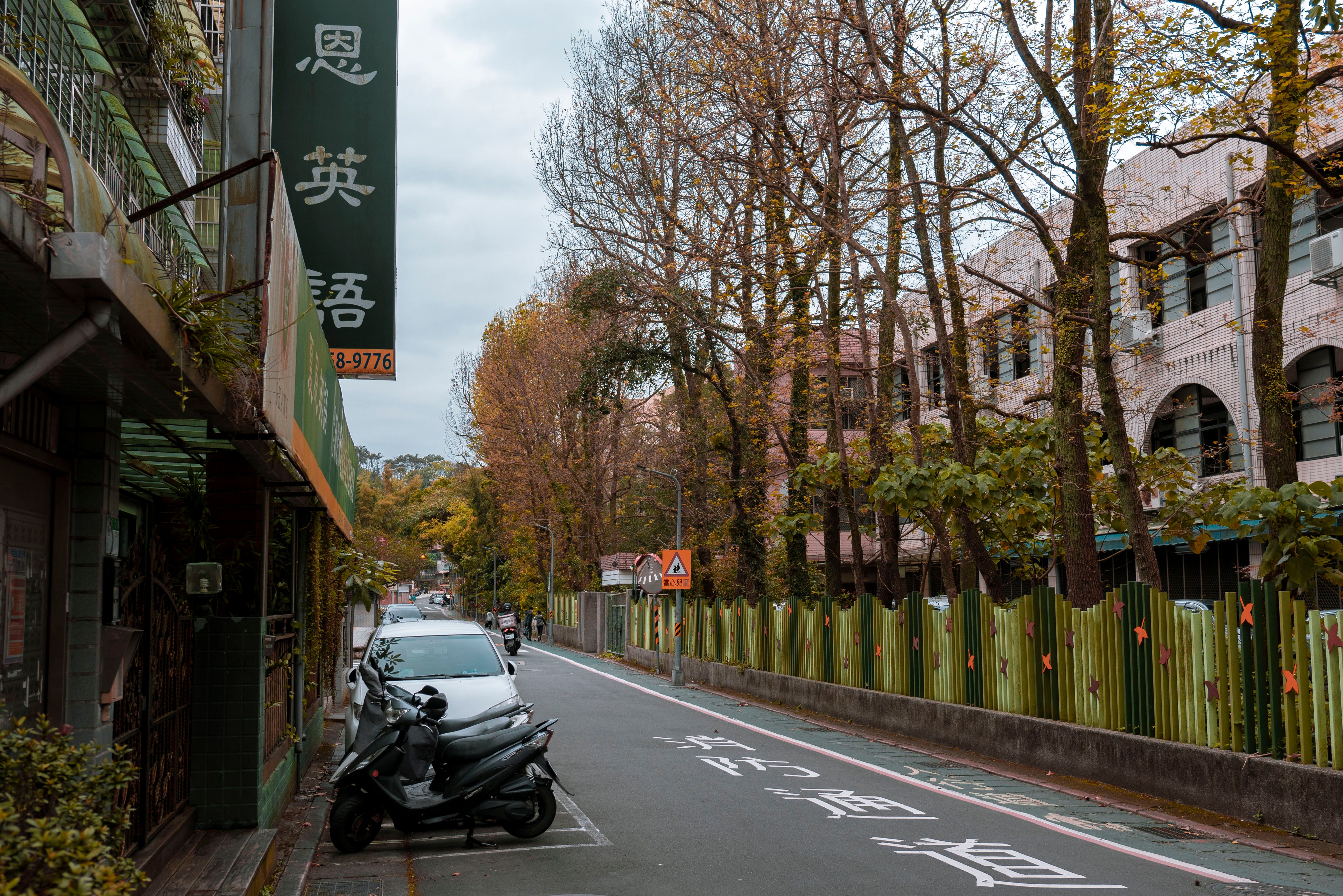 Trees near Street in Town · Free Stock Photo