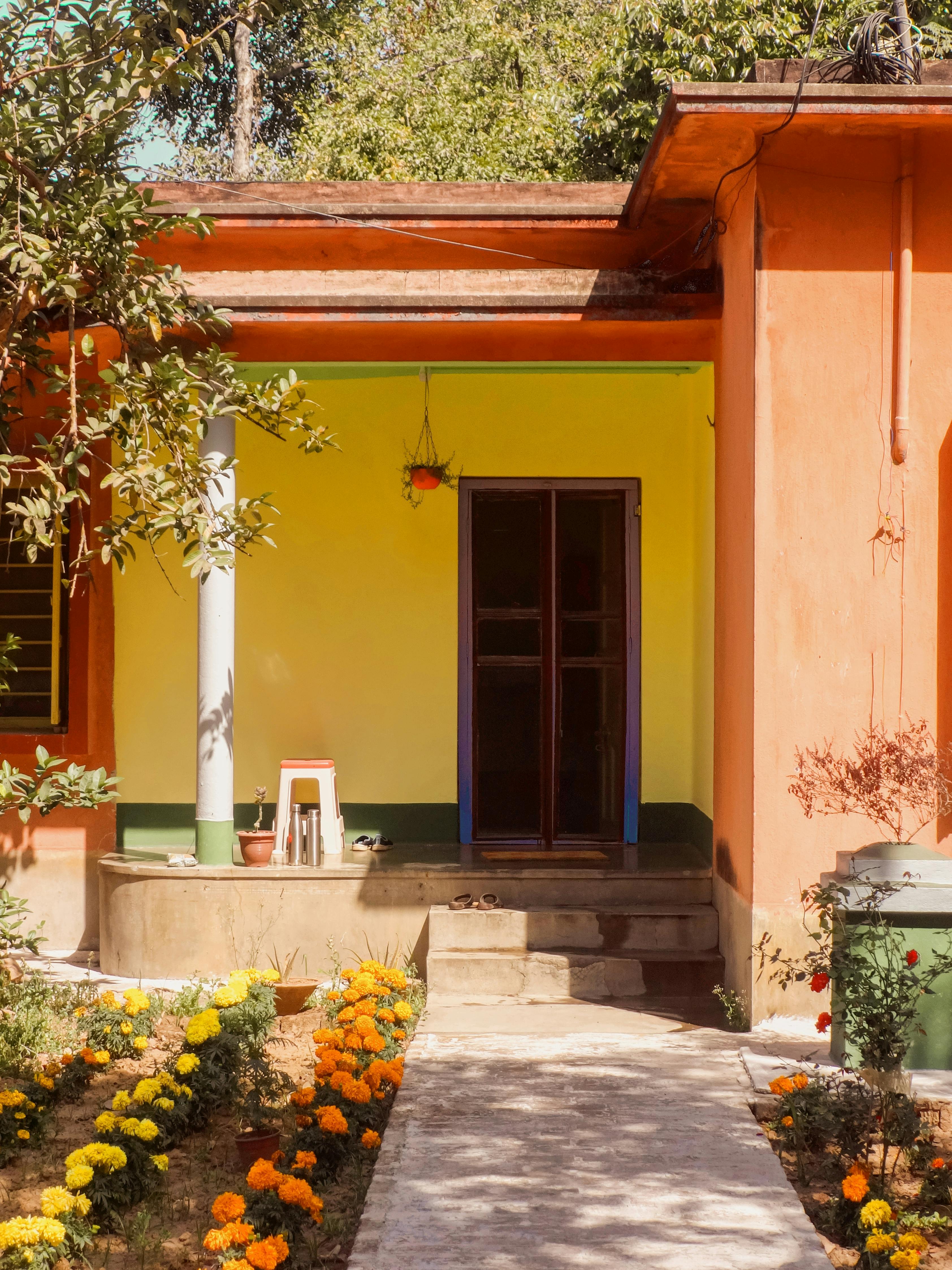 Allotment Photos, Download The BEST Free Allotment Stock Photos & HD Images