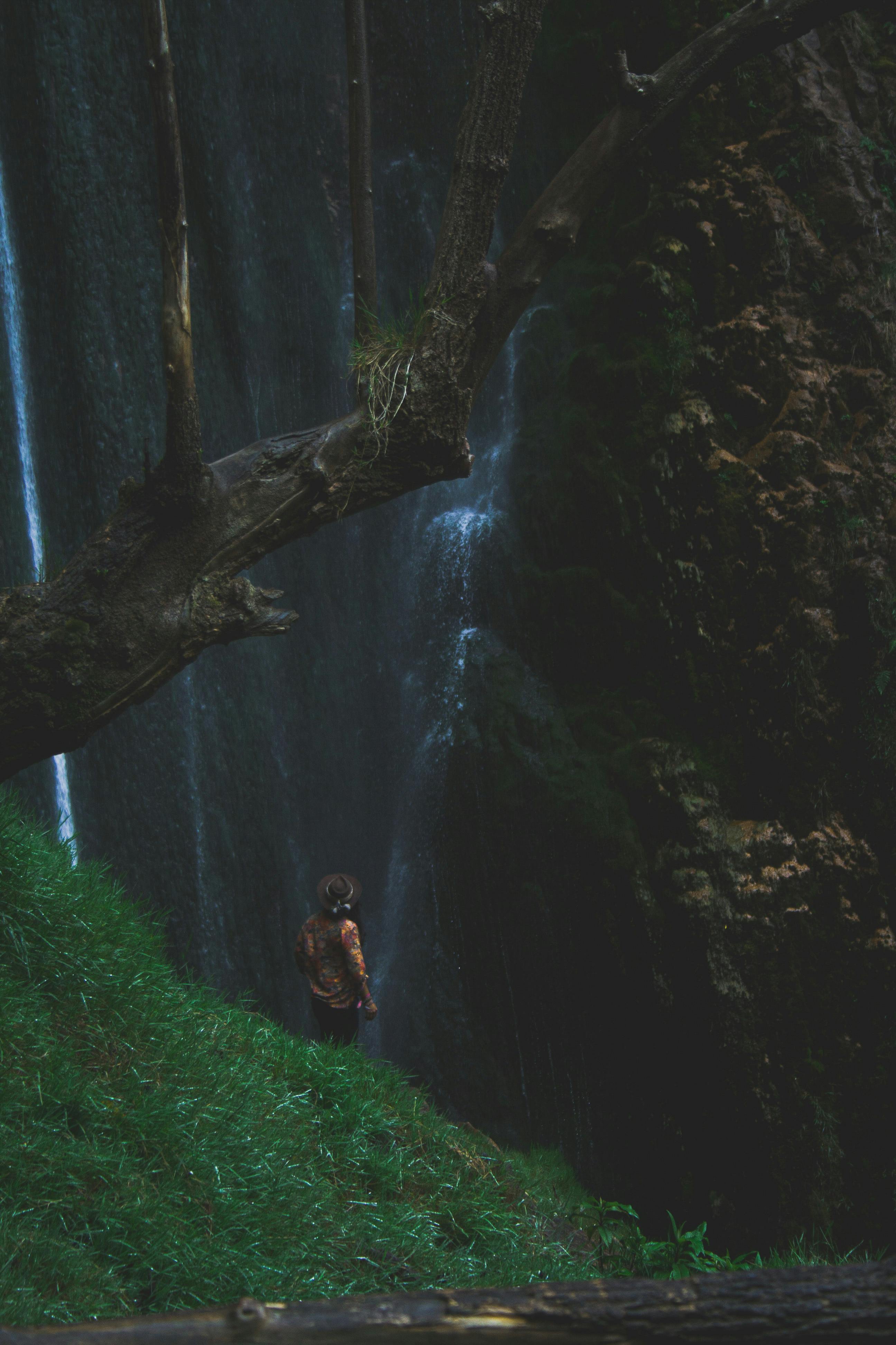 Vannery Minauro - 사진