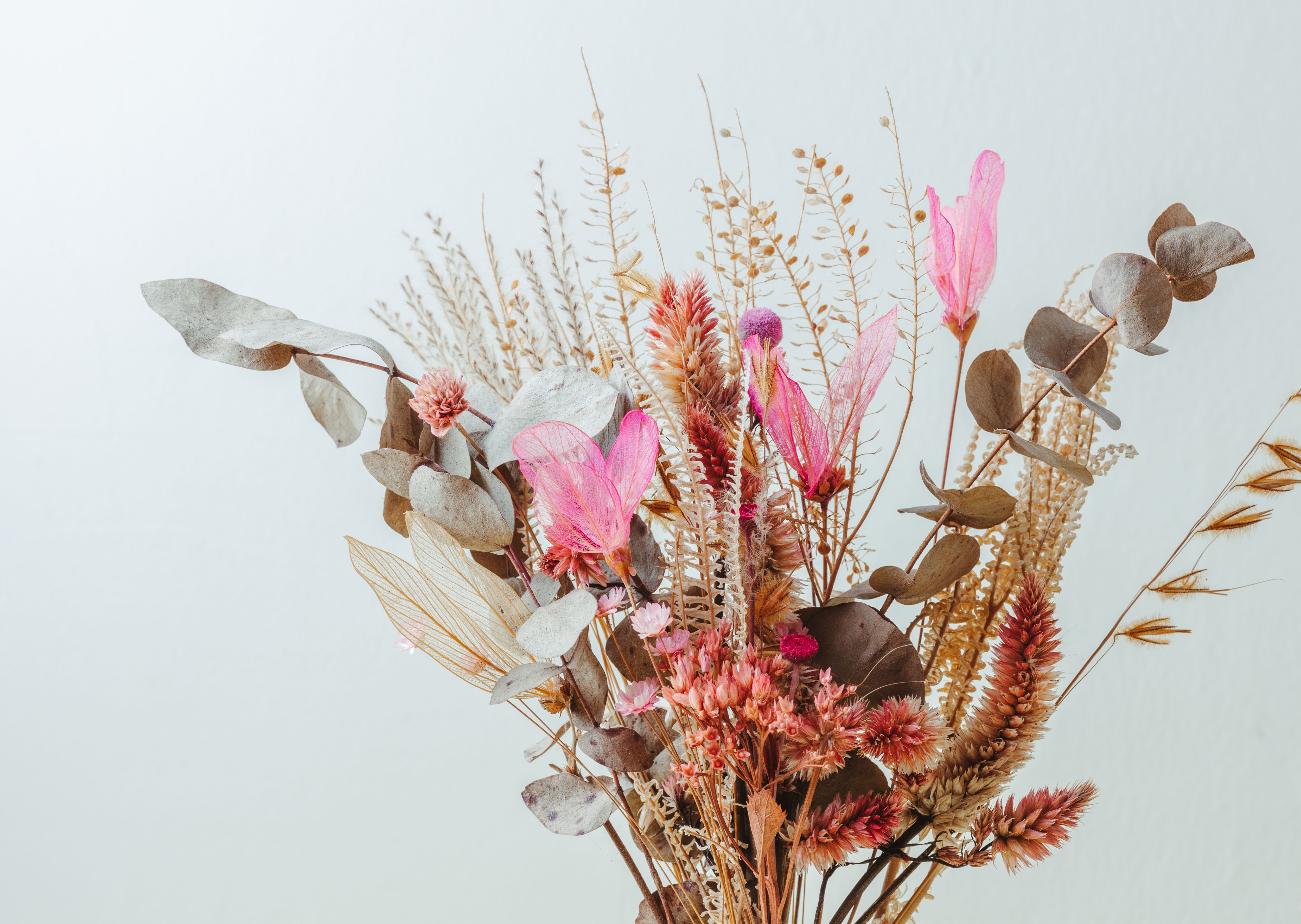 Beautiful A Bouquet of Dried Flowers · Free Stock Photo