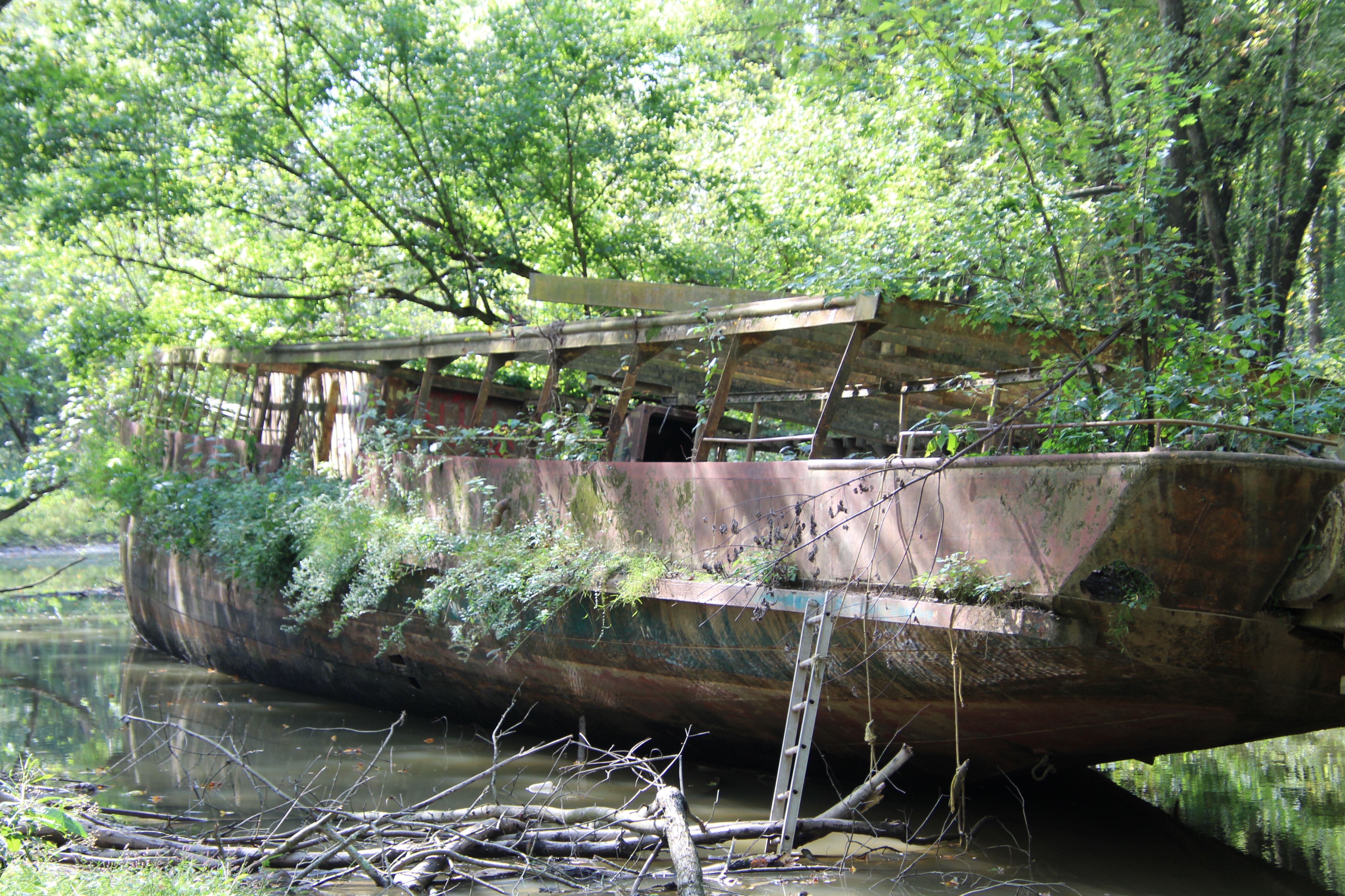 A Rusty Shipwreck Overgrown with Trees and Plants · Free Stock Photo