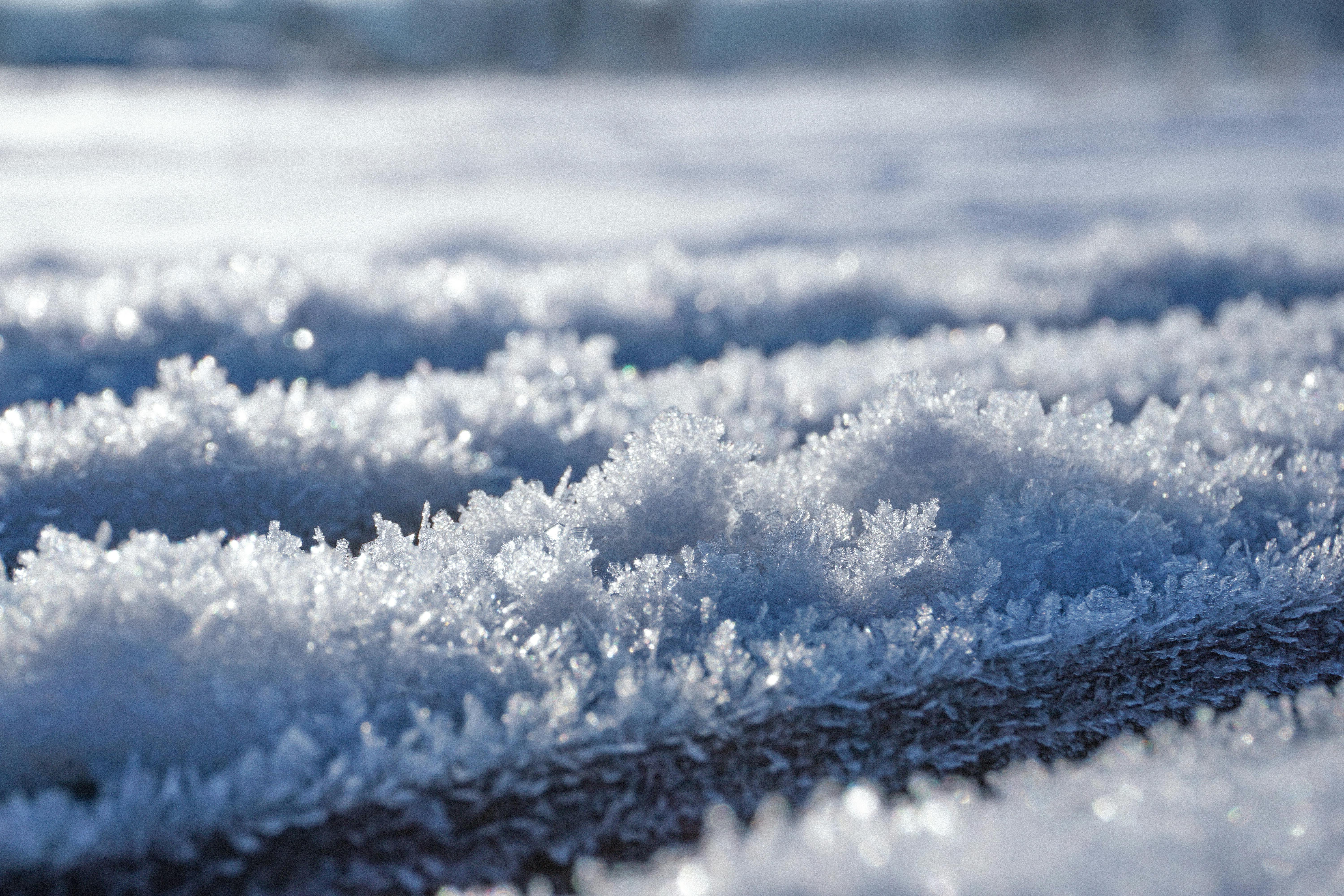 Frozen Snow in Sunlight · Free Stock Photo