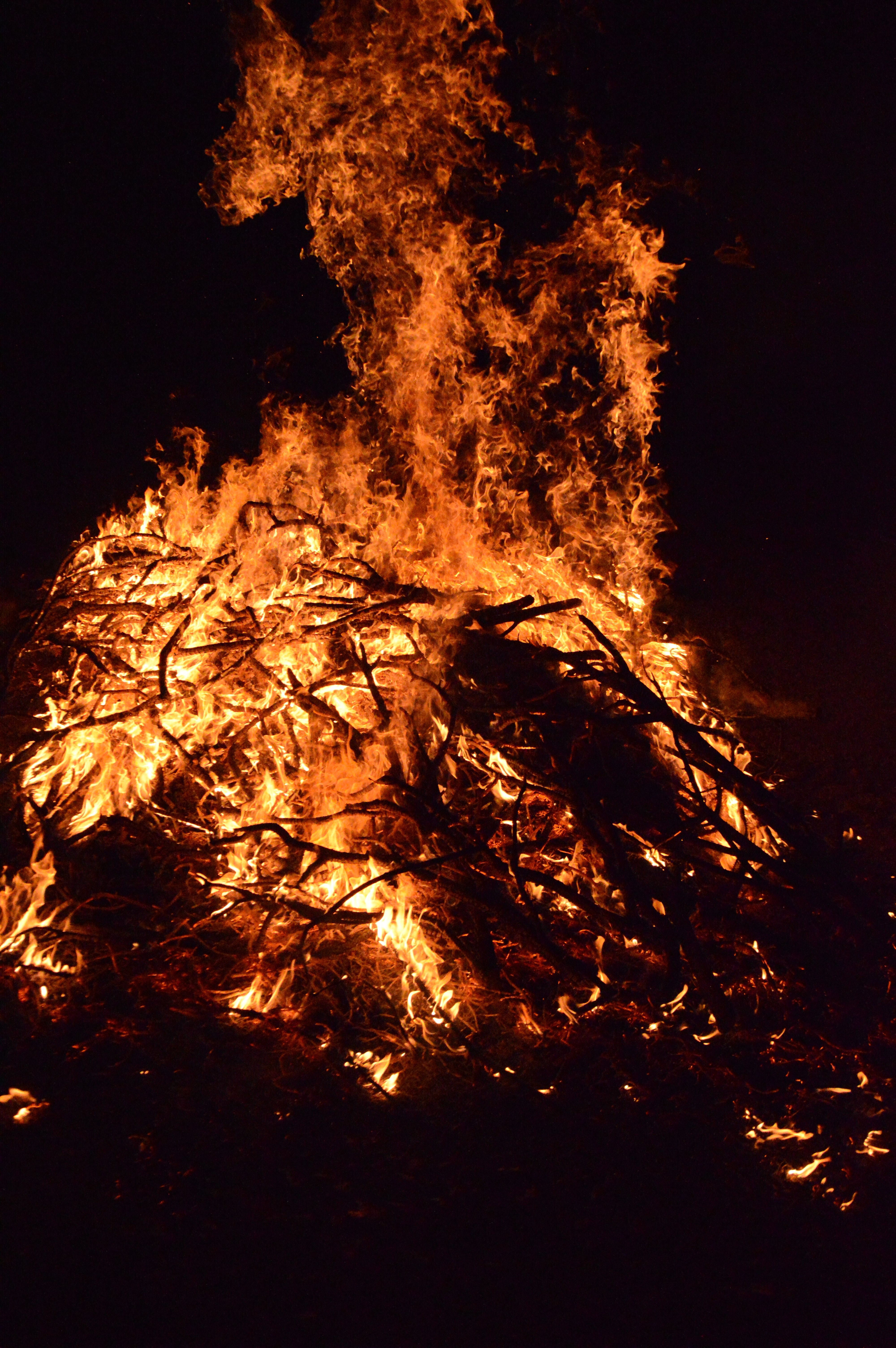 Photo of Fire · Free Stock Photo