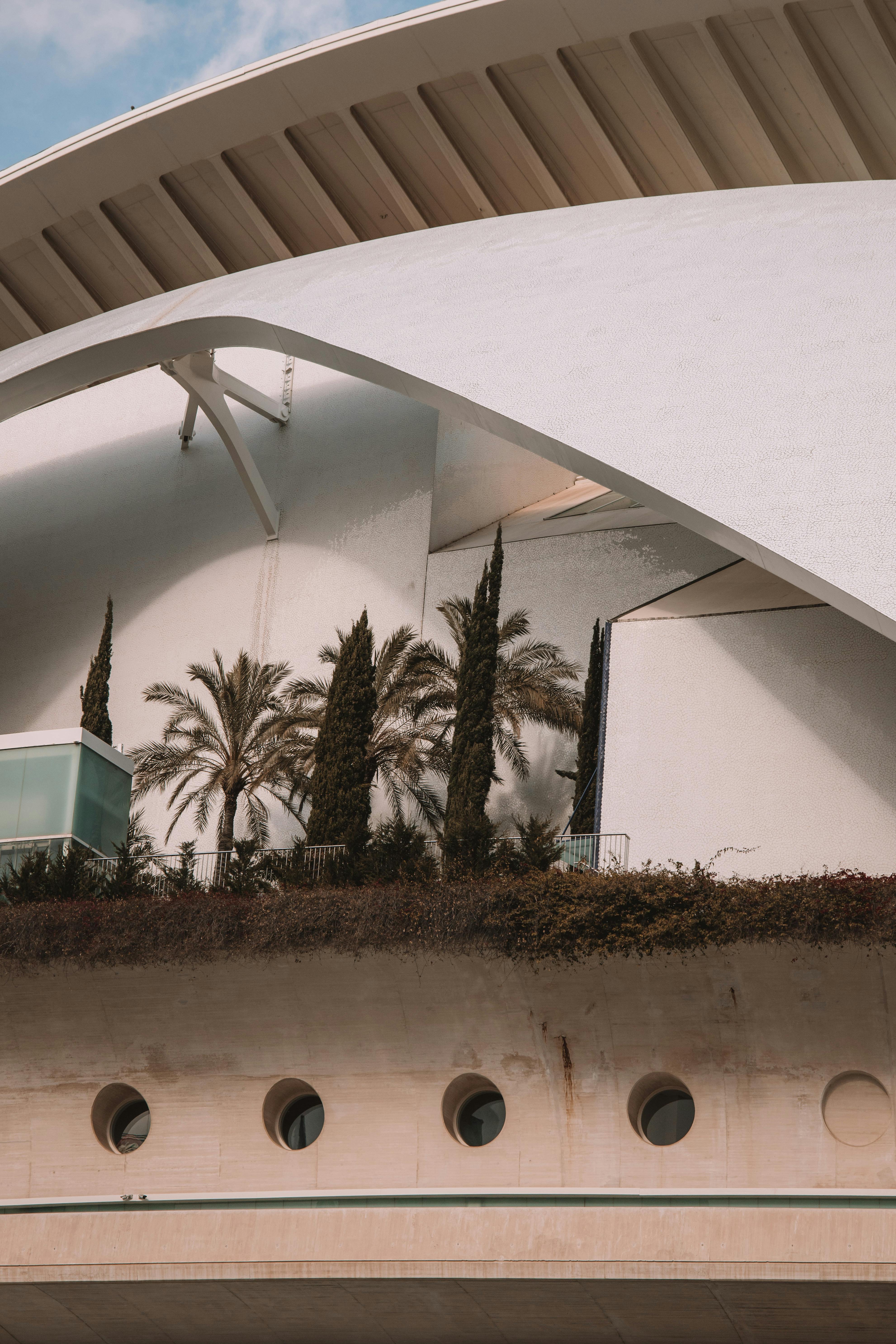 Trees on the Terrace of the Queen Sofia Palace of Arts in Valencia ...