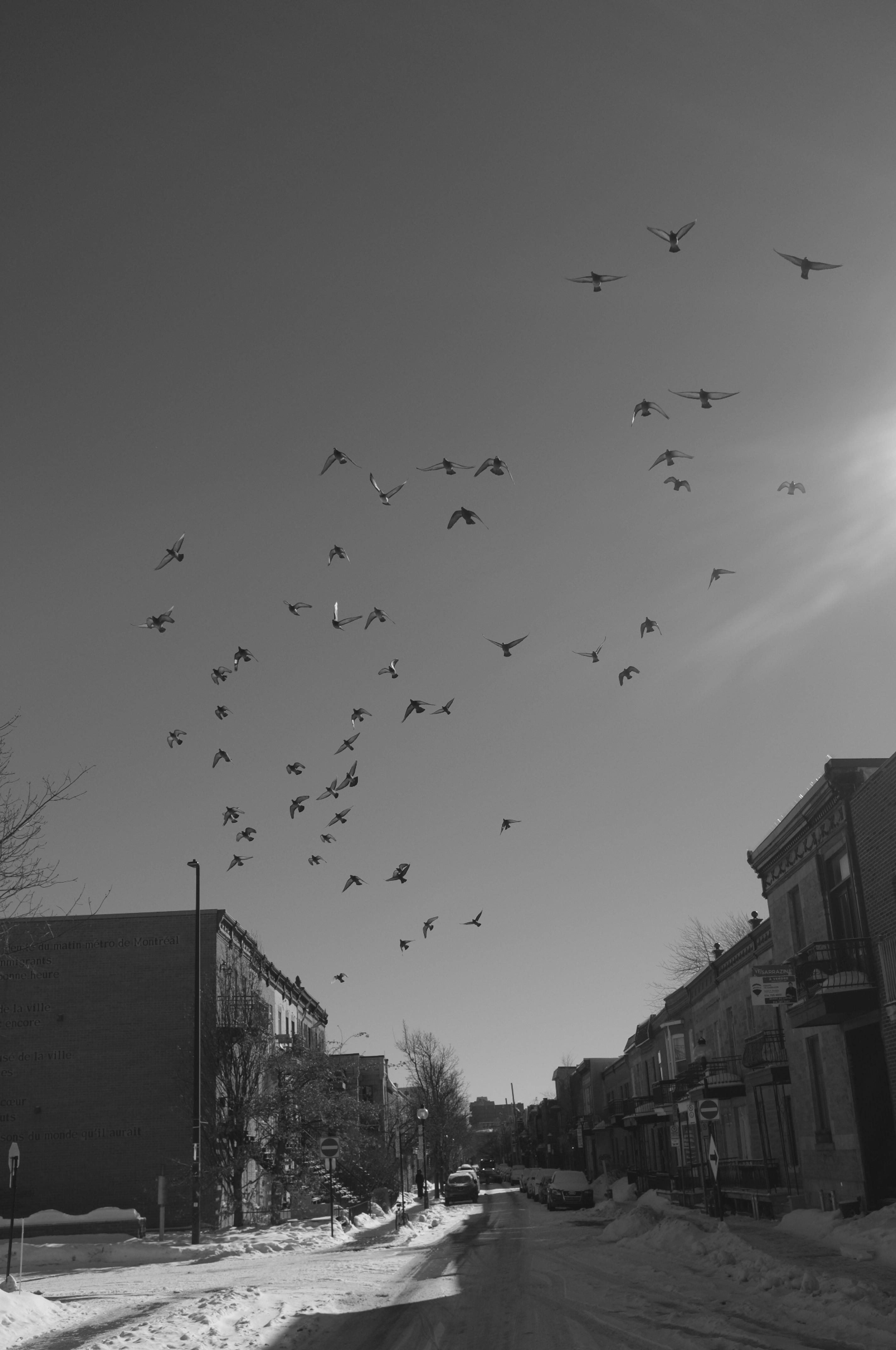 Winer Photos, Download The BEST Free Winer Stock Photos & HD Images