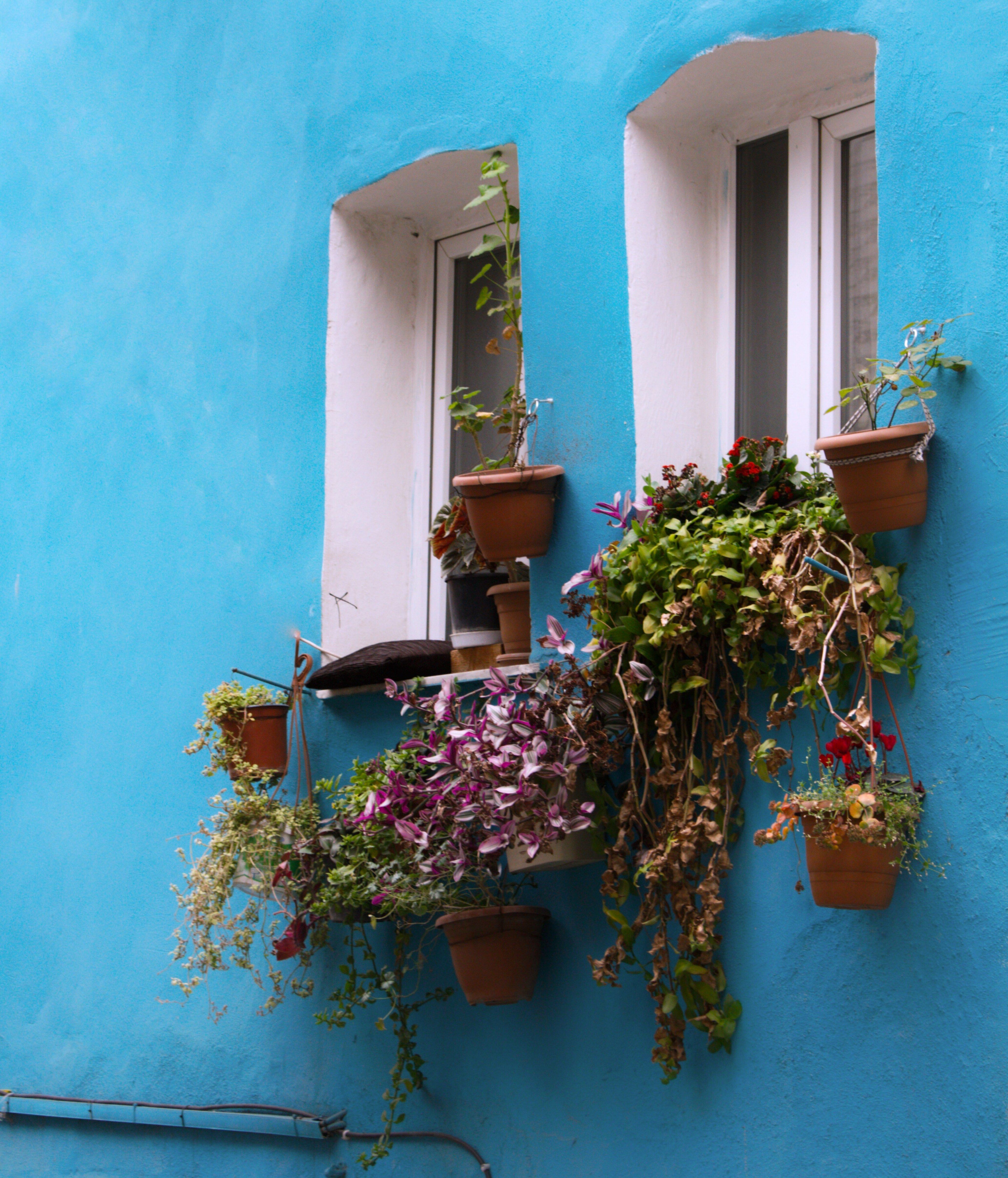 Hous Photos, Download The BEST Free Hous Stock Photos & HD Images