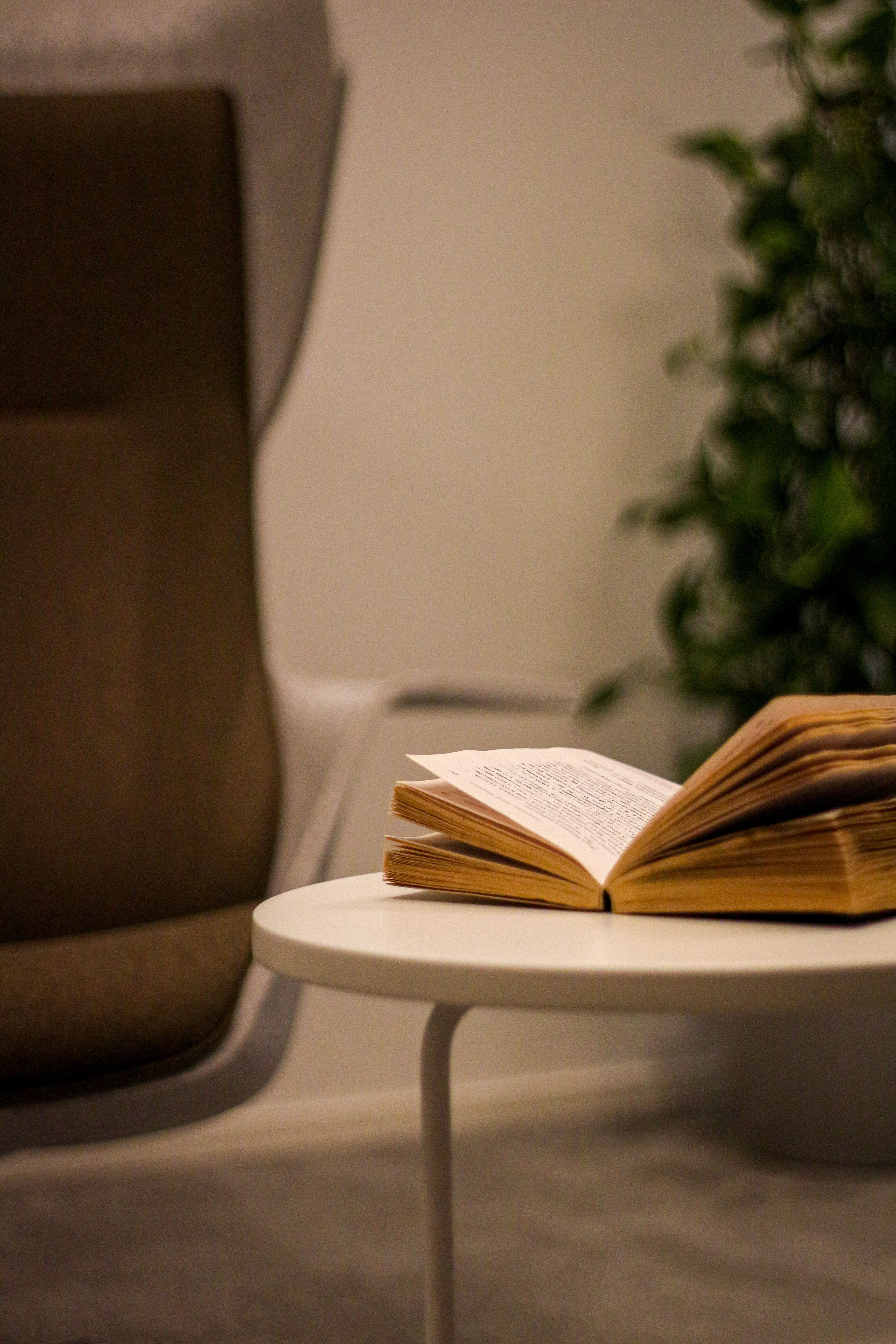 Open Book on the Coffee Table · Free Stock Photo