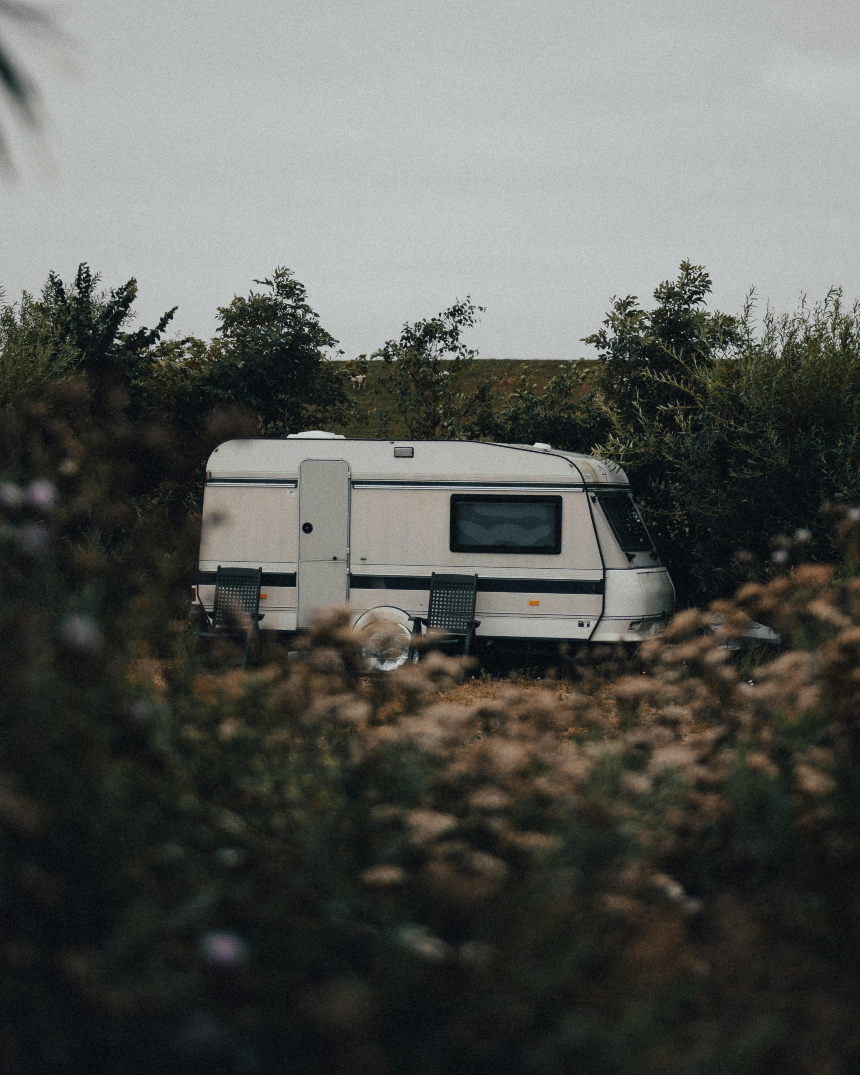 Camper among Trees · Free Stock Photo