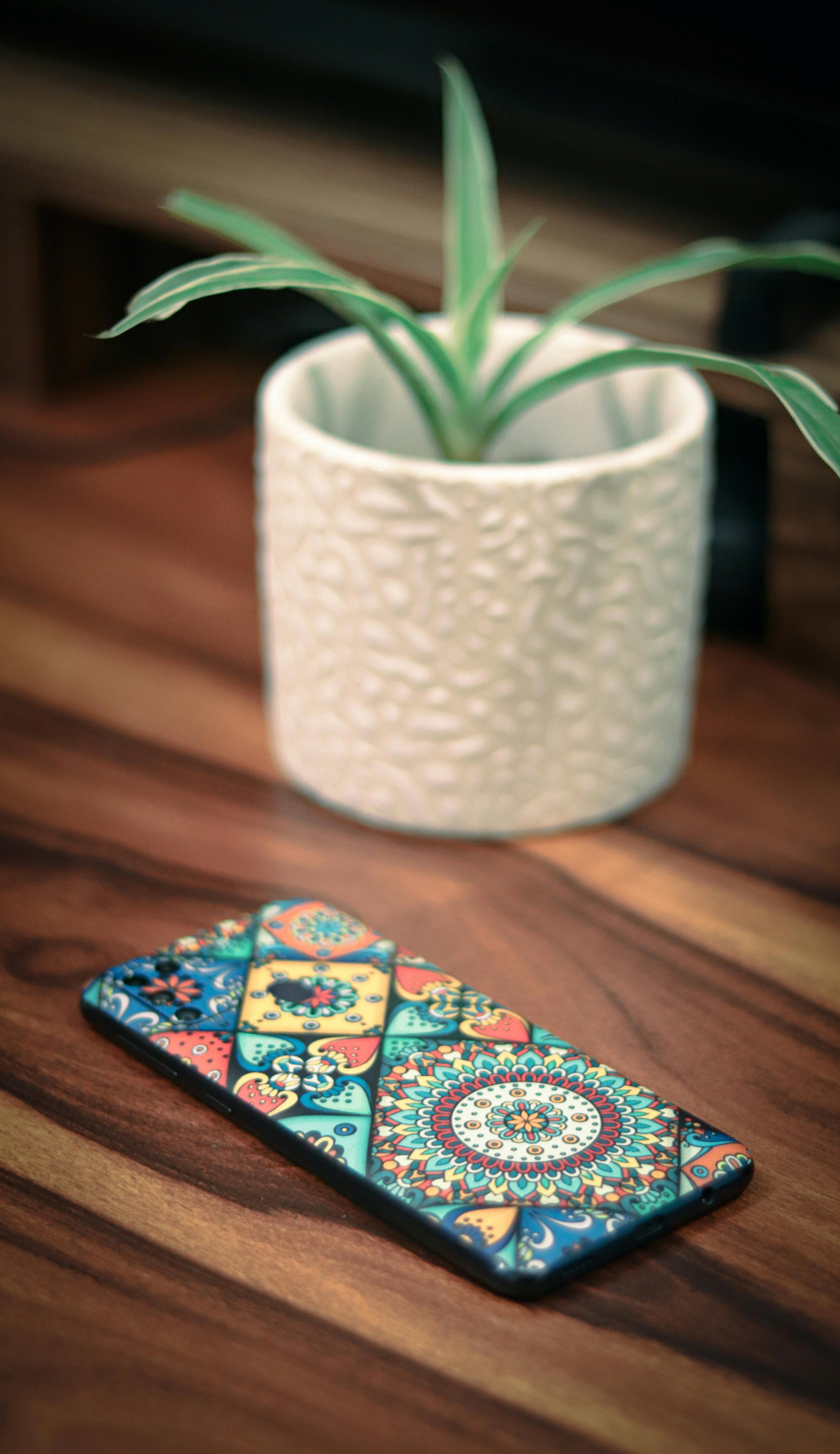 Color Cycle Photos, Download The BEST Free Color Cycle Stock Photos ...