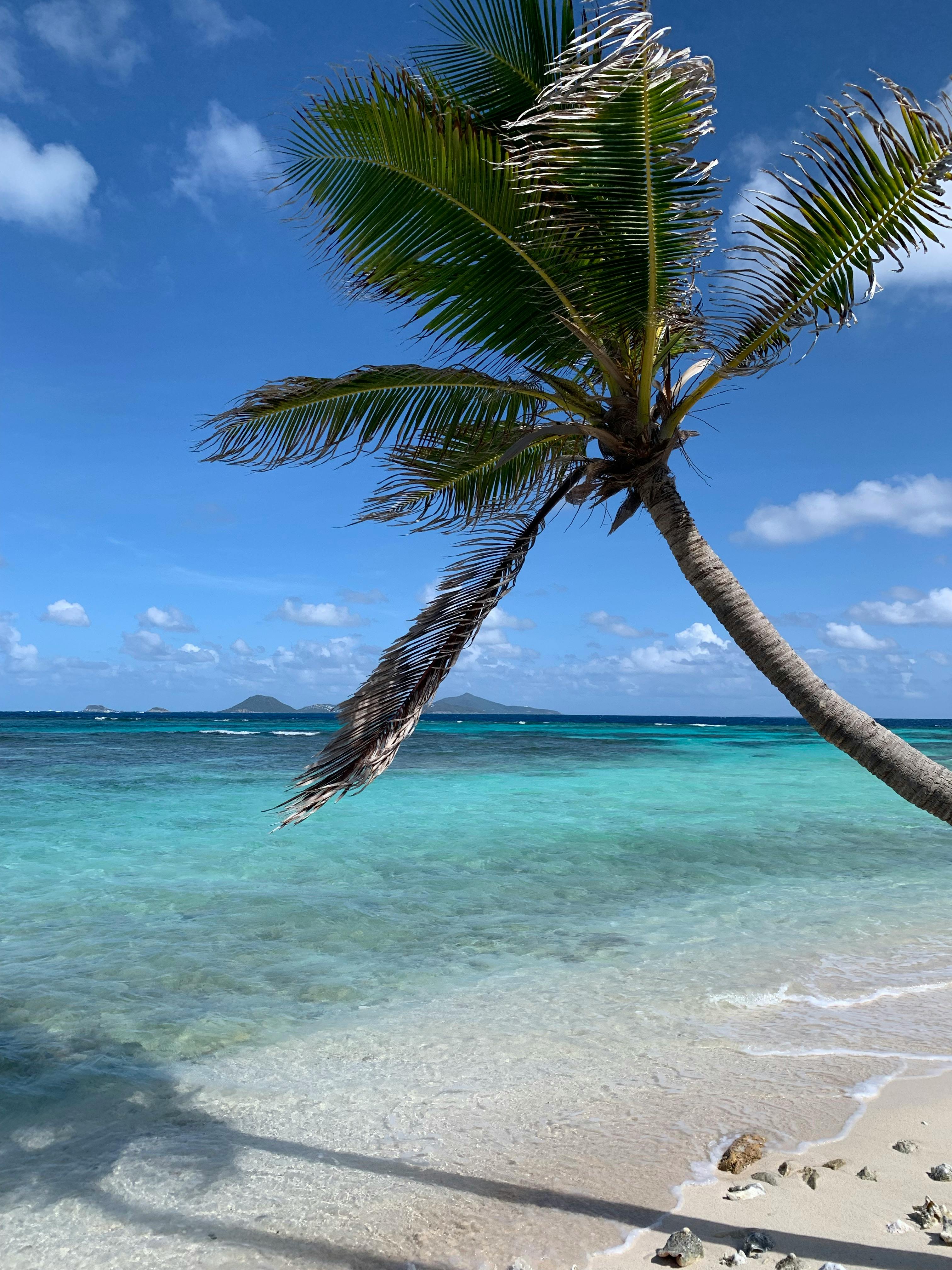 Ocean Beach Photos, Download The BEST Free Ocean Beach Stock Photos ...