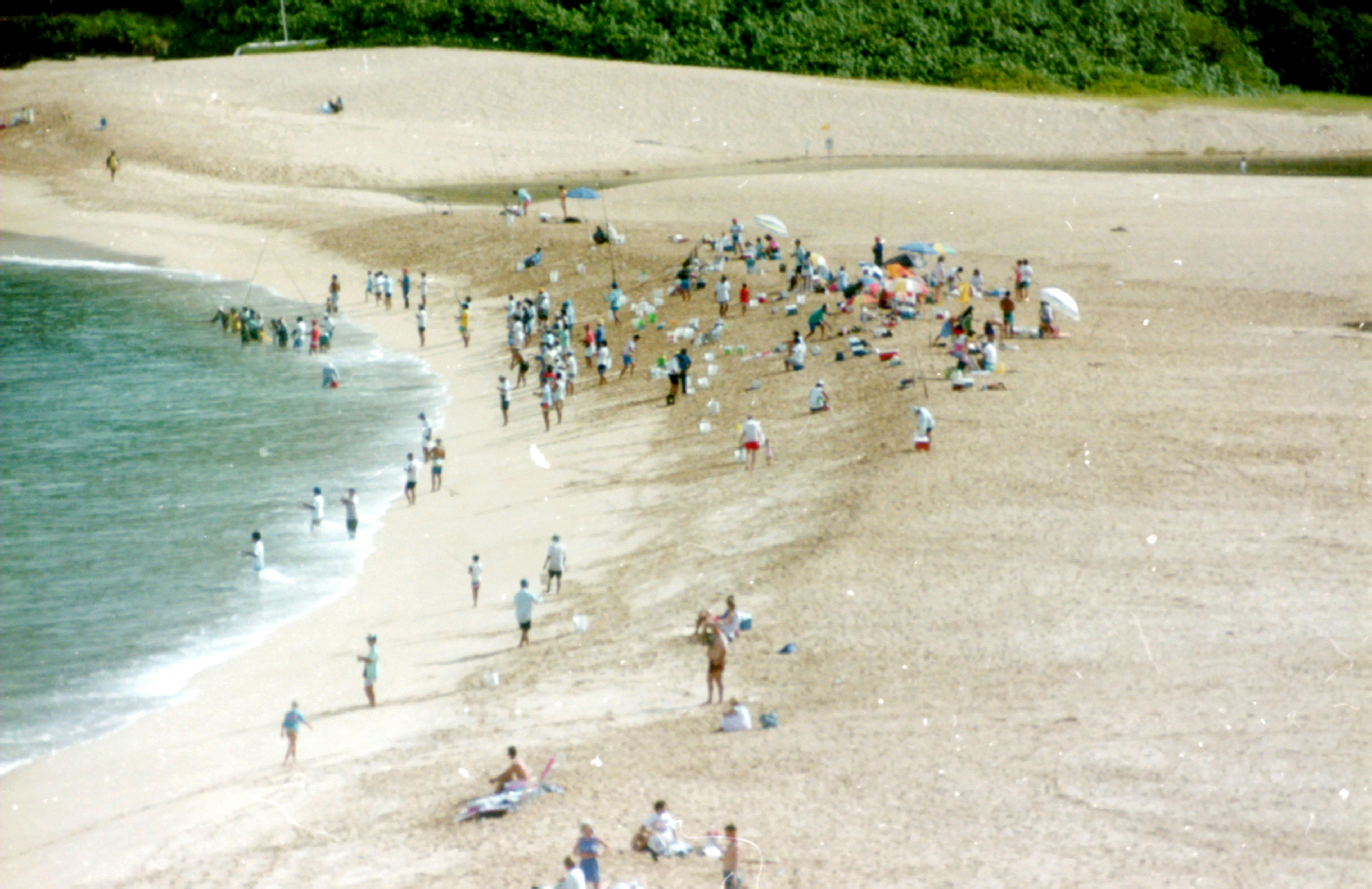 Robert Fisk - Photography