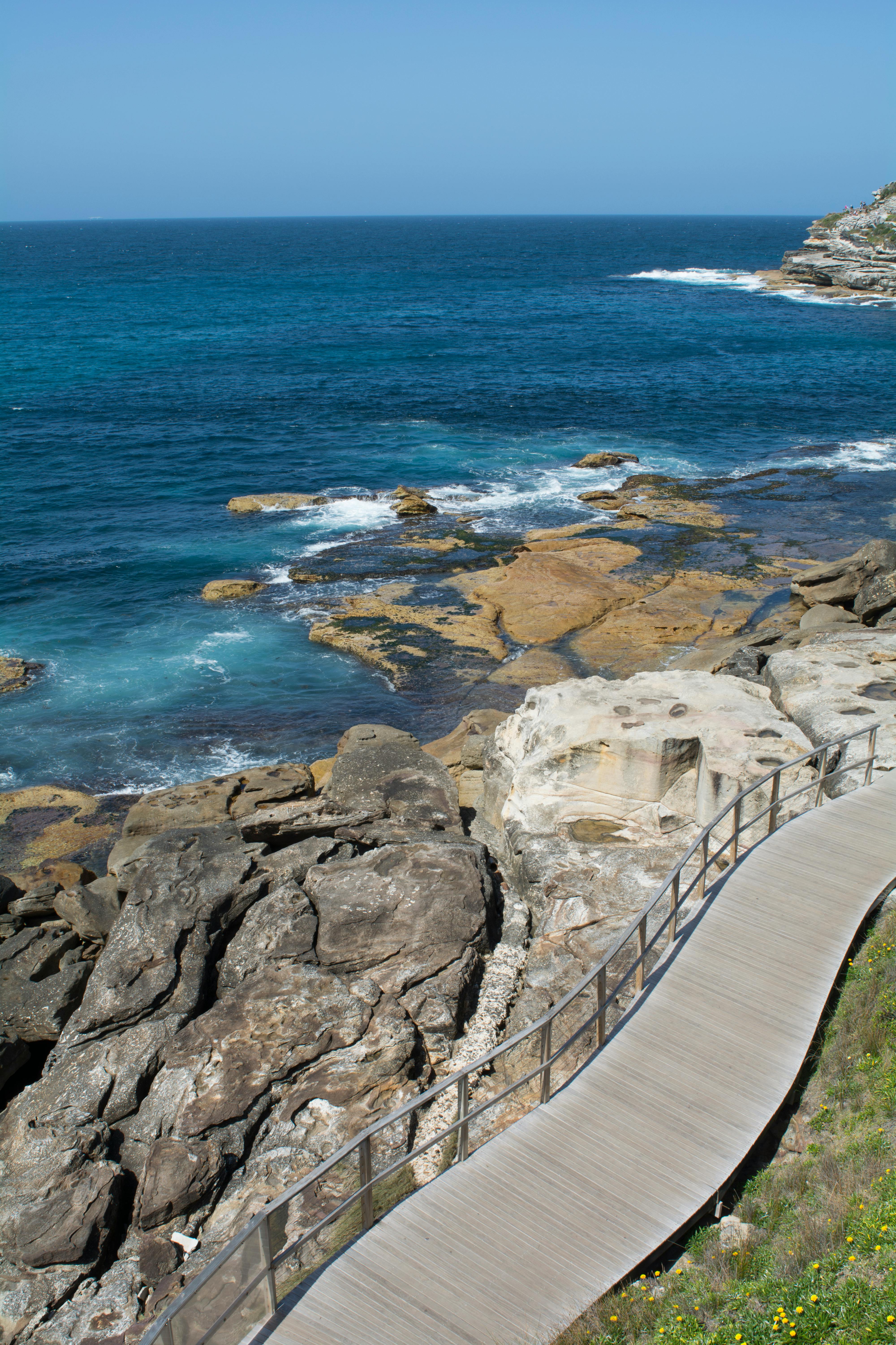 Kostenloses Foto zum Thema: bondi, bondi beach, bondi promenade