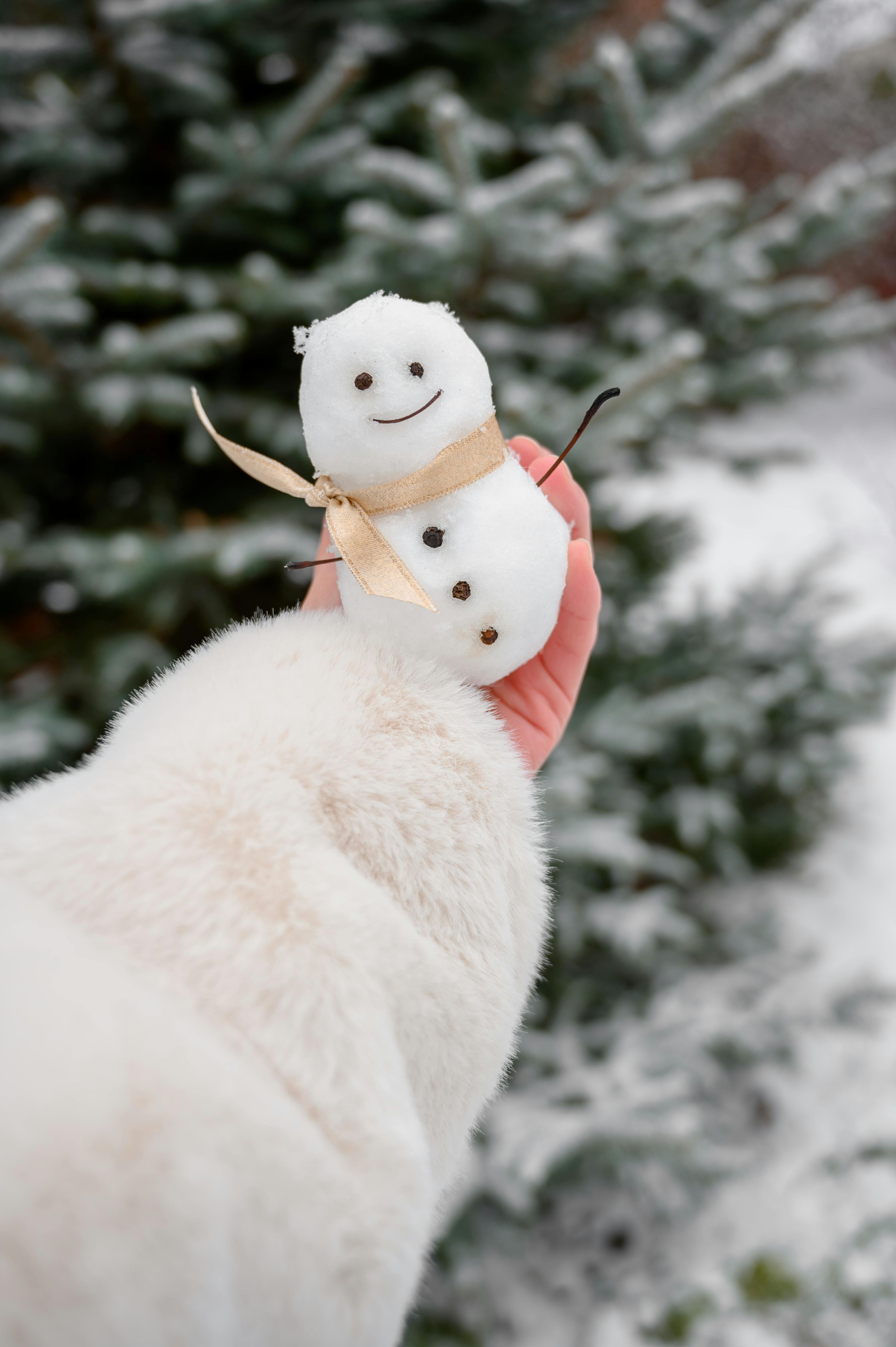 Hand Holding Tiny Snowman · Free Stock Photo