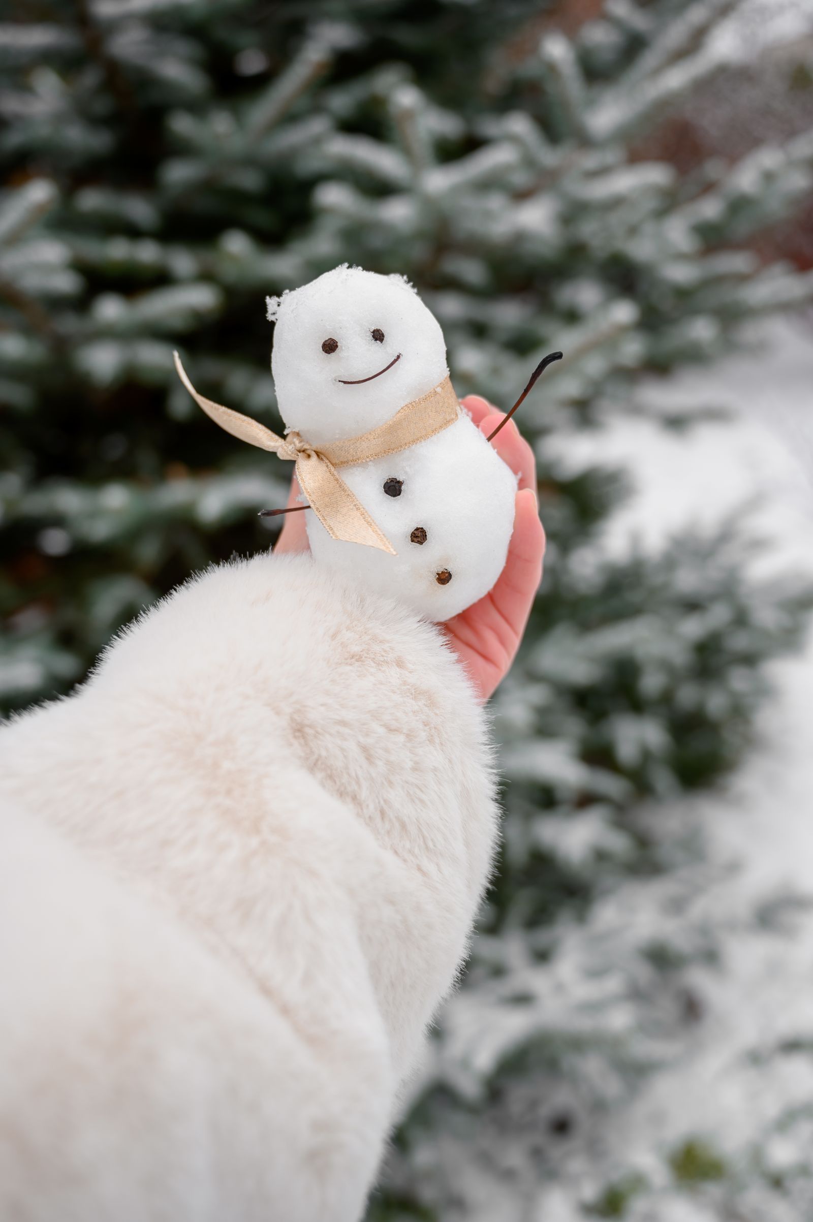 Cute Snowman Photos, Download The BEST Free Cute Snowman Stock Photos ...