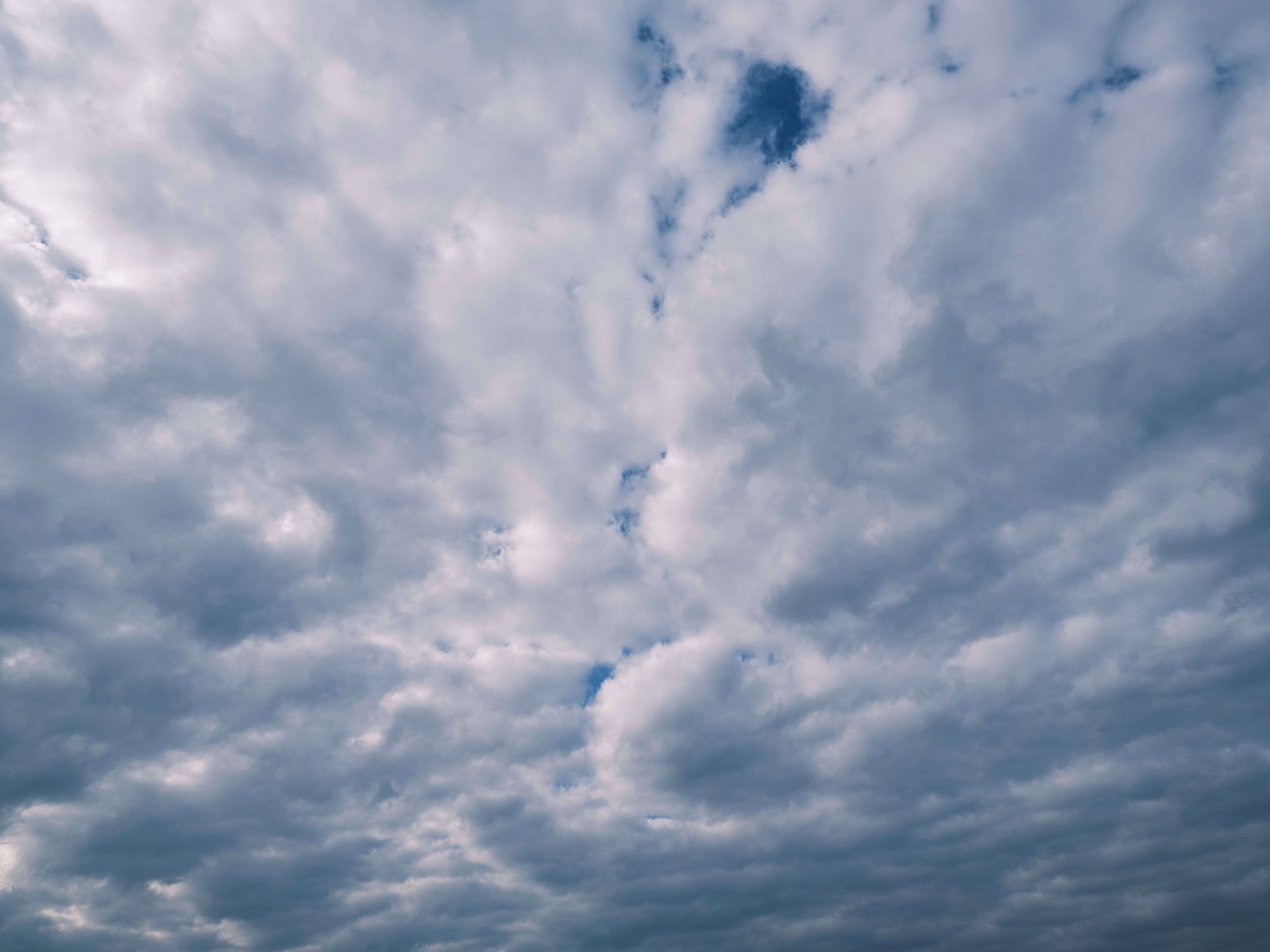 Thick Clouds in the Sky · Free Stock Photo