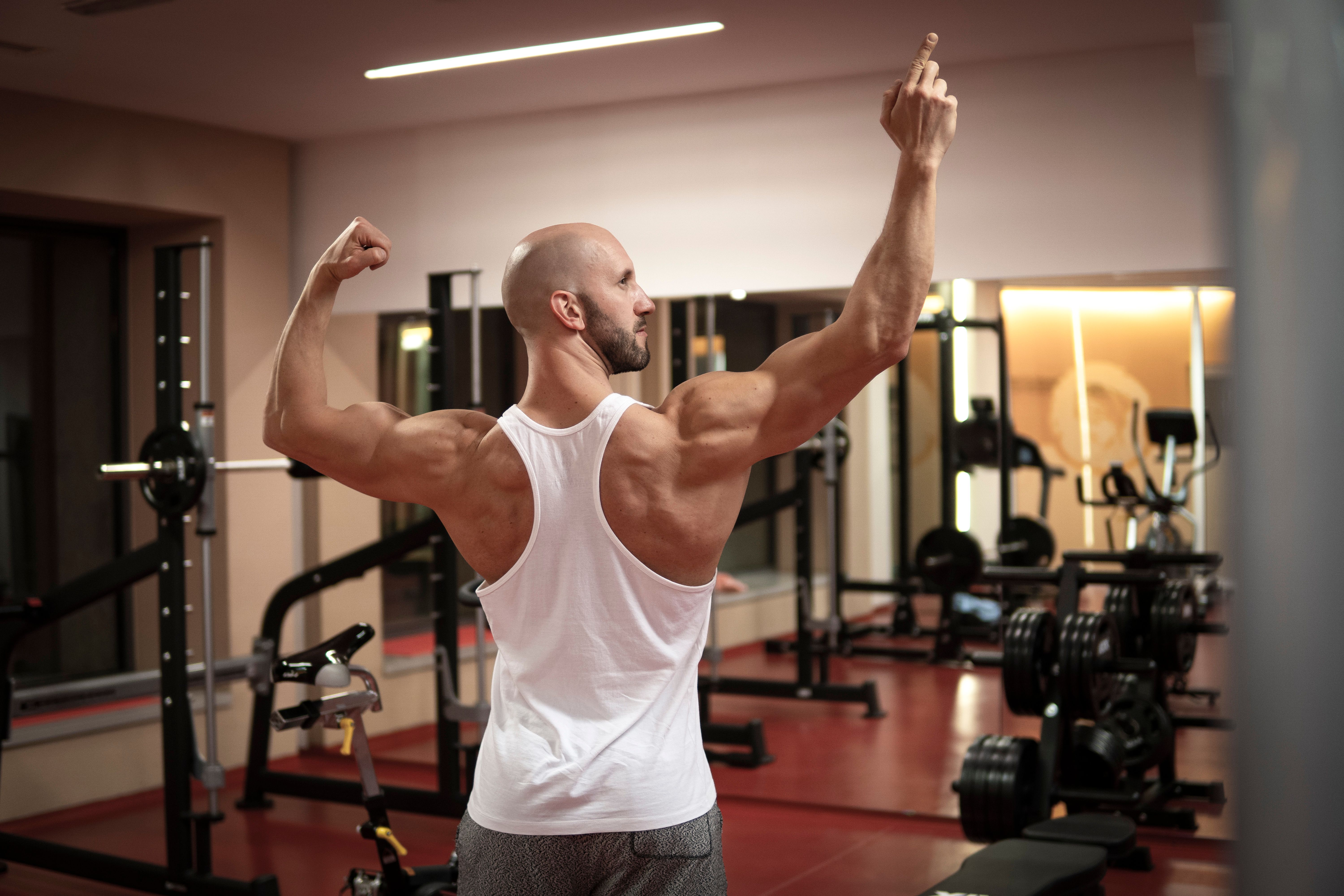 Muscular Bald Man Posing at Gym · Free Stock Photo