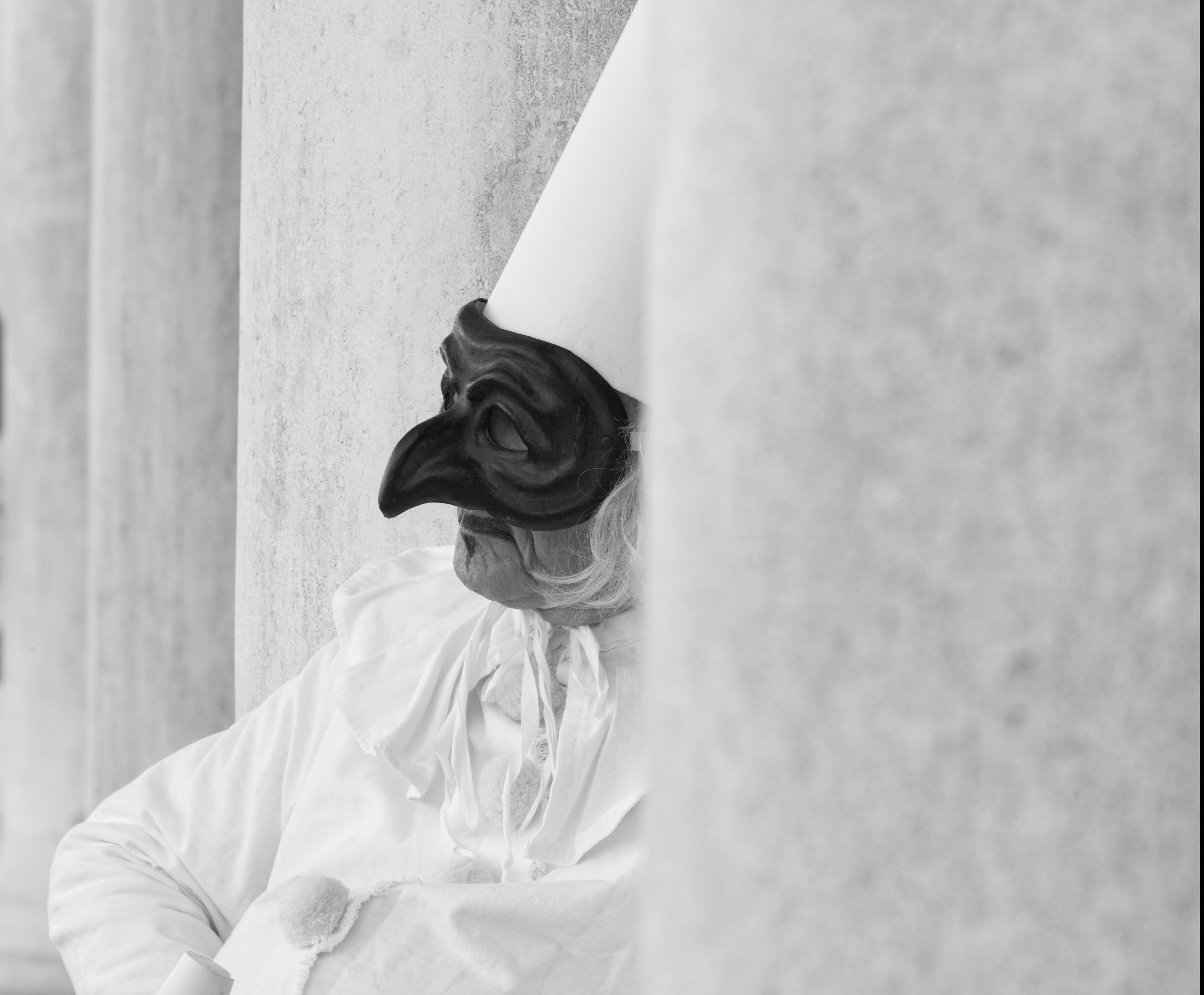 Crow Mask Photos, Download The BEST Free Crow Mask Stock Photos & HD Images