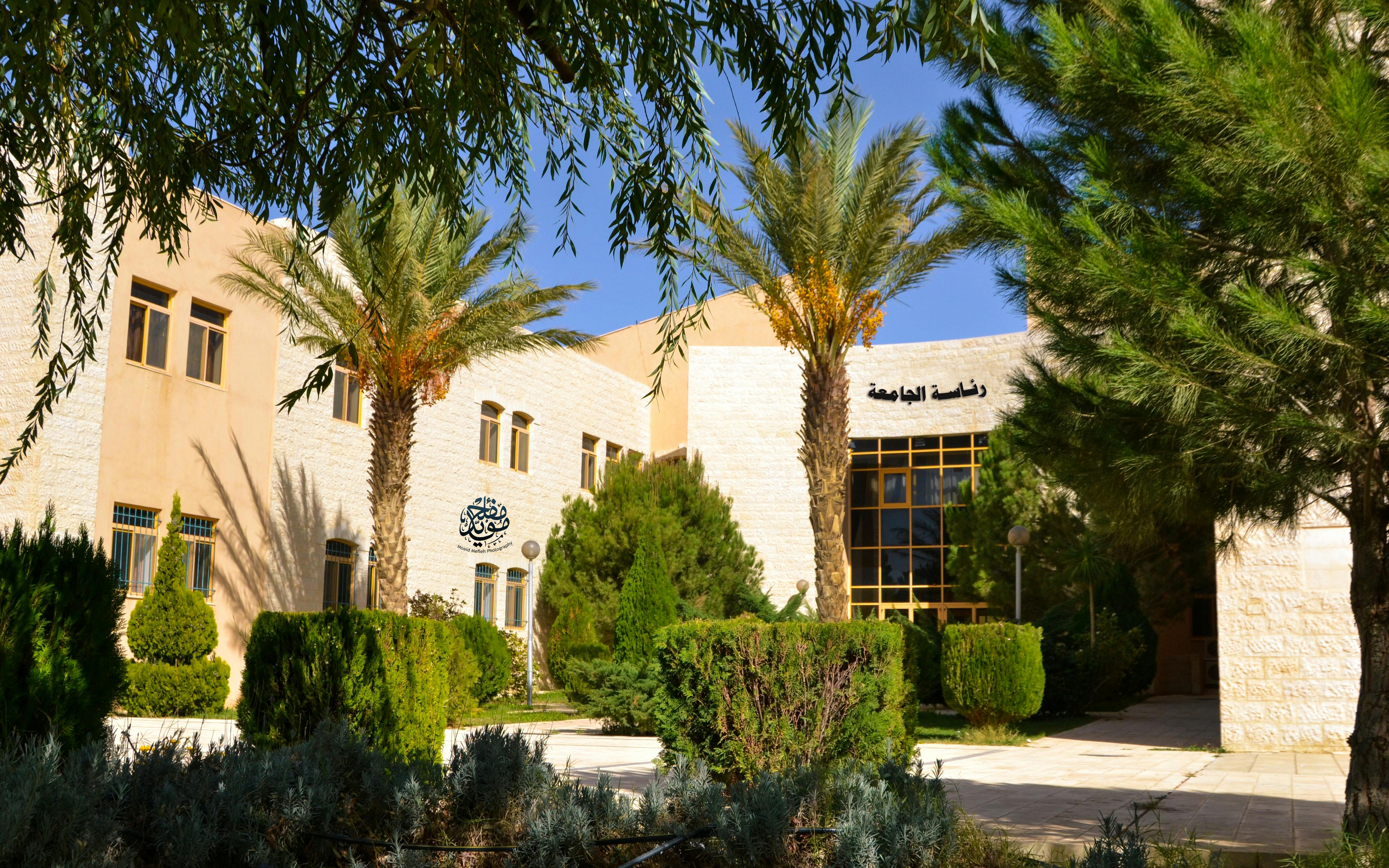 Free stock photo from Moaid · Pexels