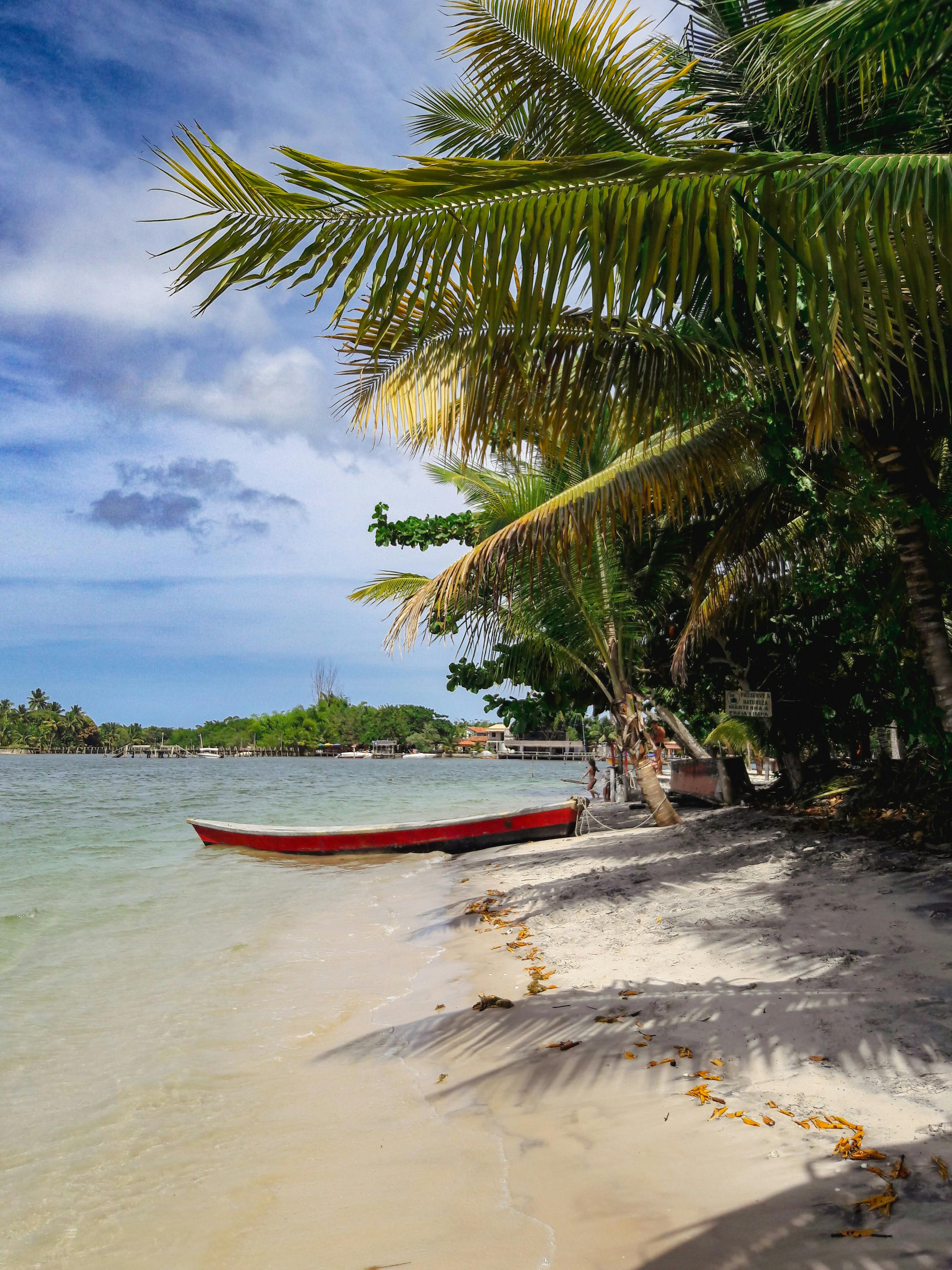 Vocation Photos, Download The BEST Free Vocation Stock Photos & HD Images