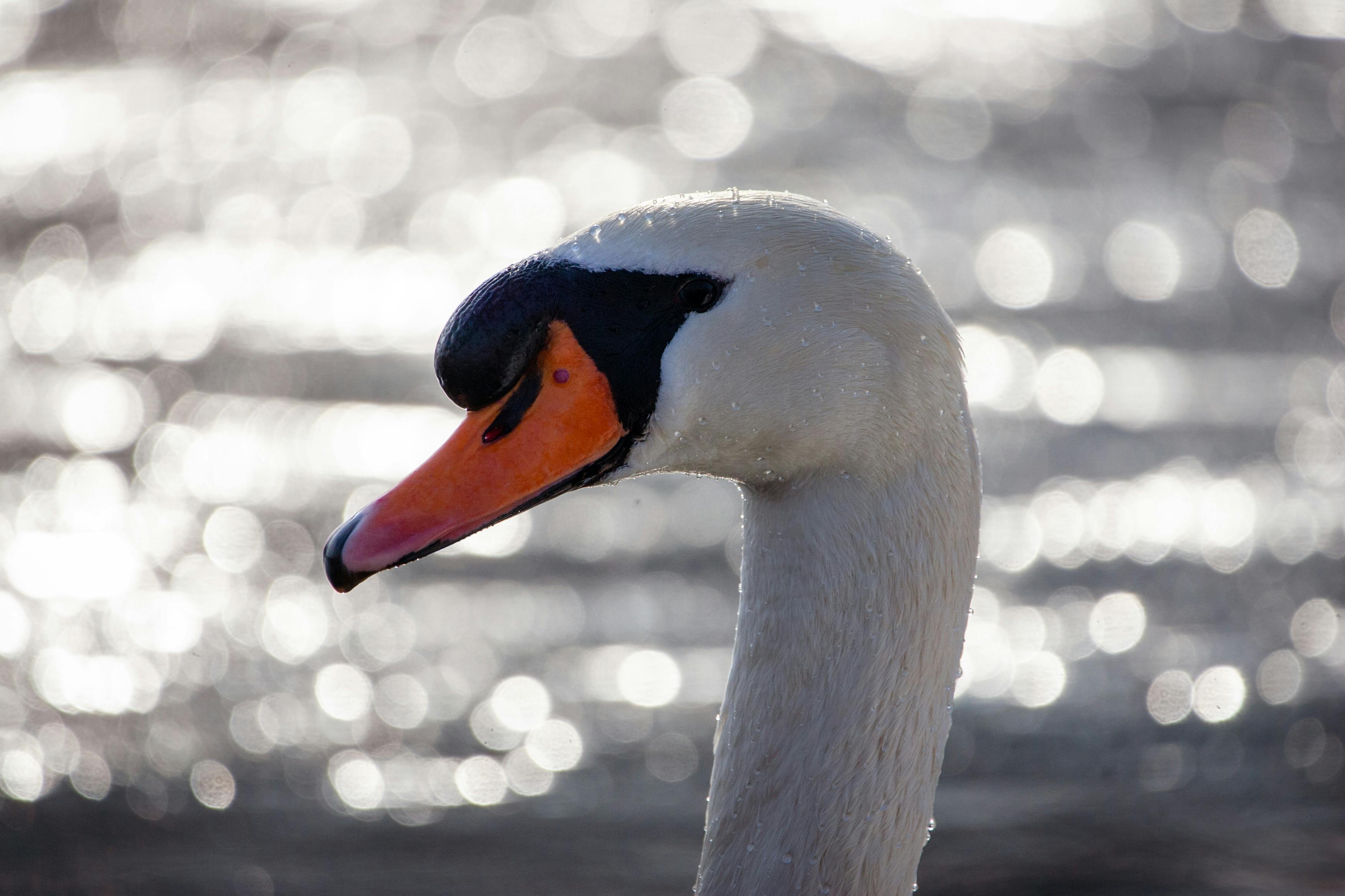 Brighting Photos, Download The BEST Free Brighting Stock Photos & HD Images