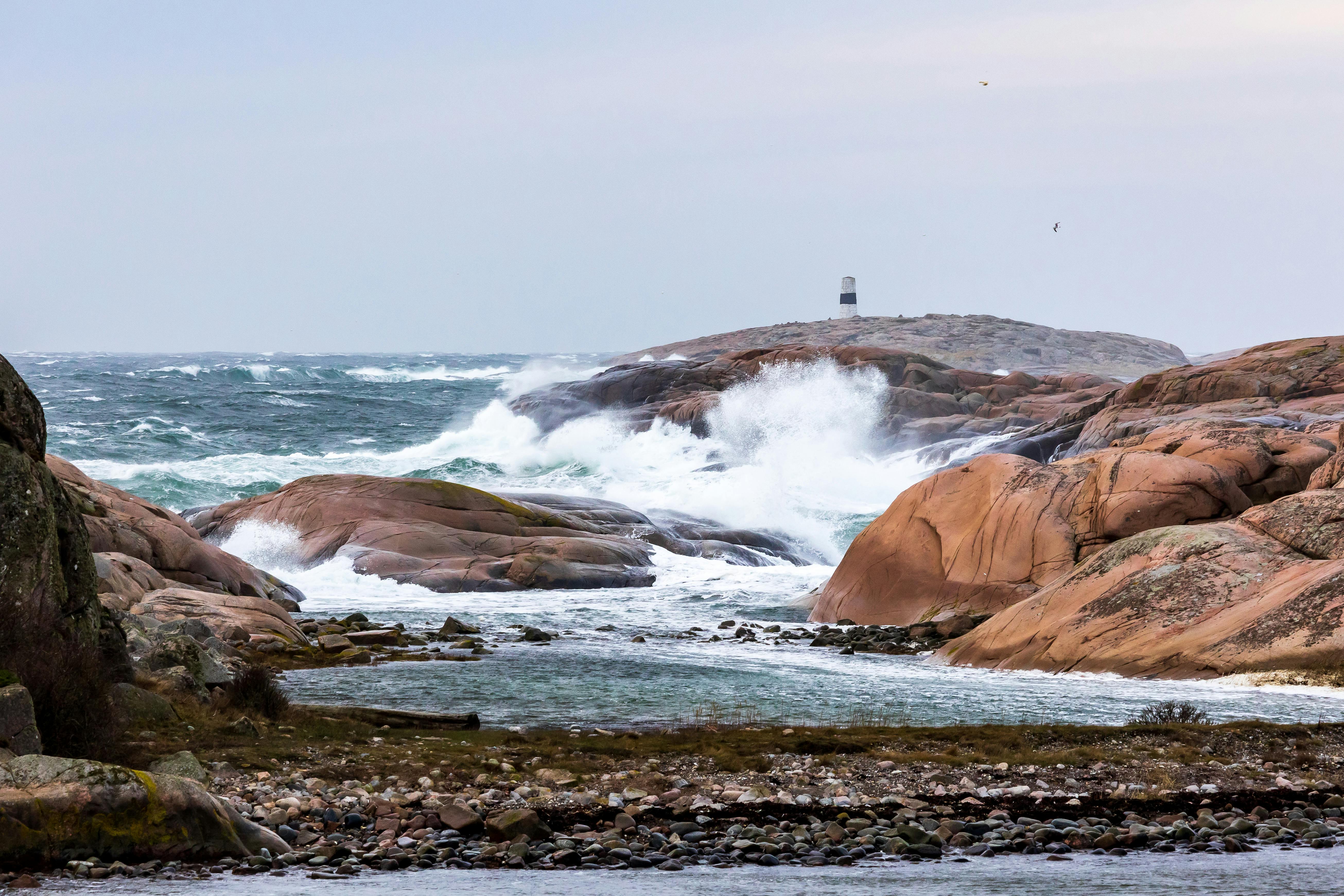 Water Pound Photos, Download The BEST Free Water Pound Stock Photos ...