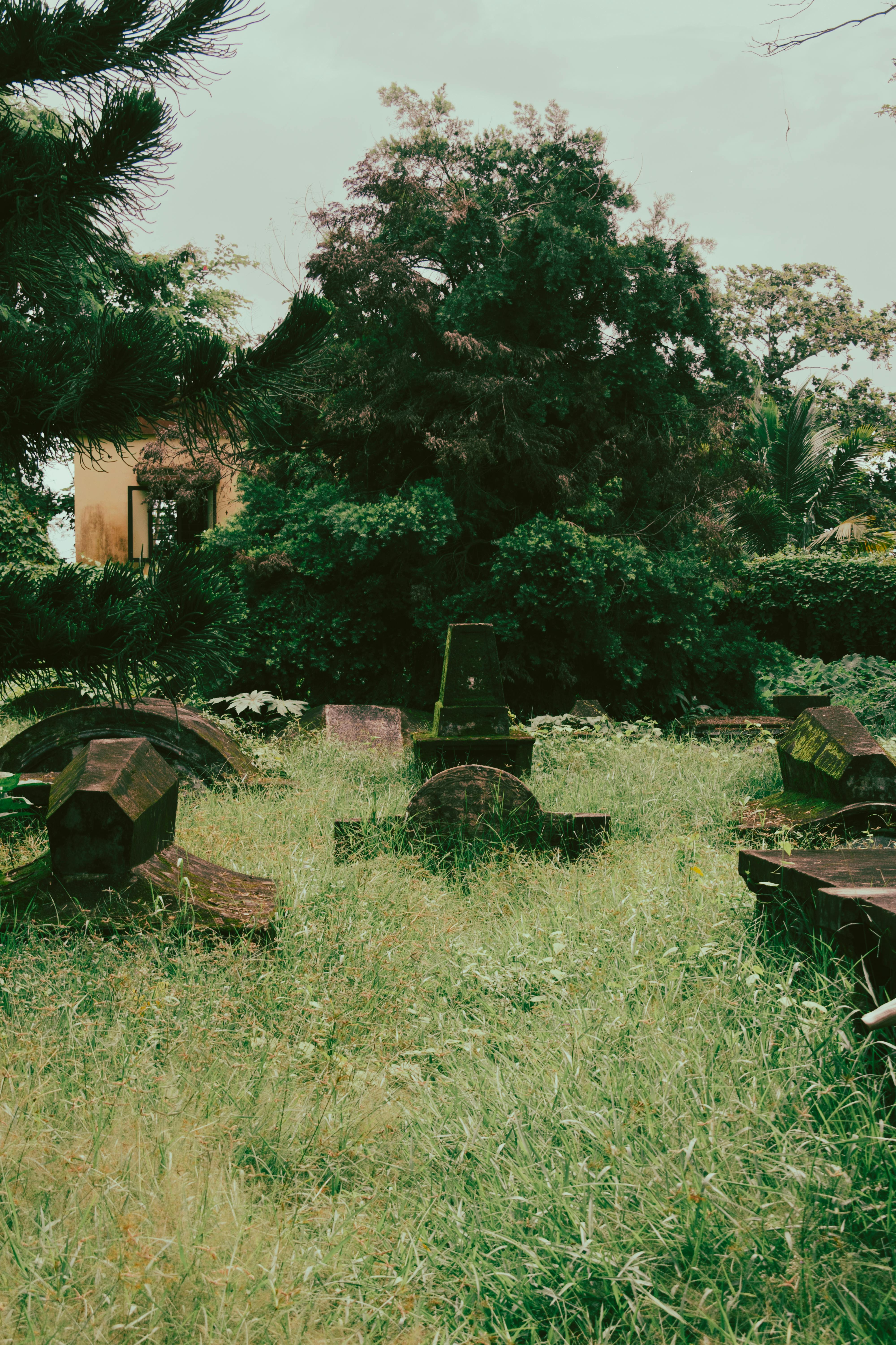 Graves in Grass near Building · Free Stock Photo