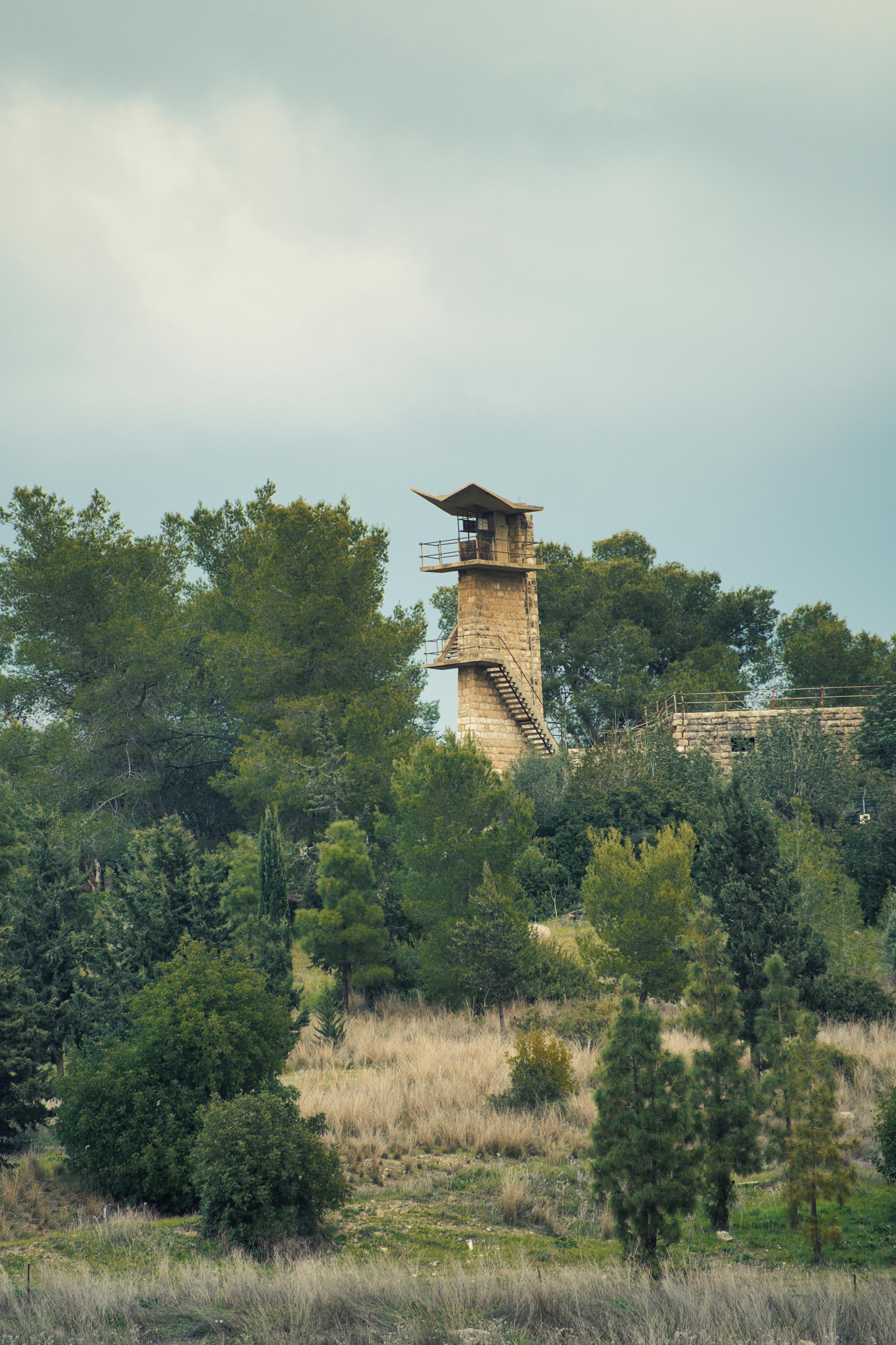 Forest Watchtower Photos, Download The BEST Free Forest Watchtower ...