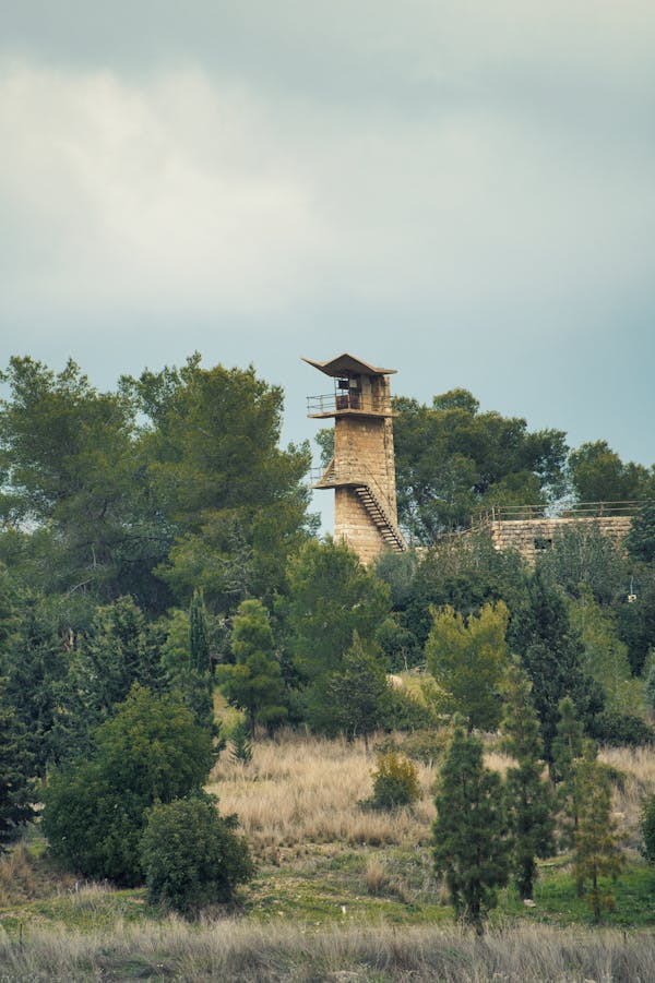 Elif Tower Photos, Download The BEST Free Elif Tower Stock Photos & HD ...