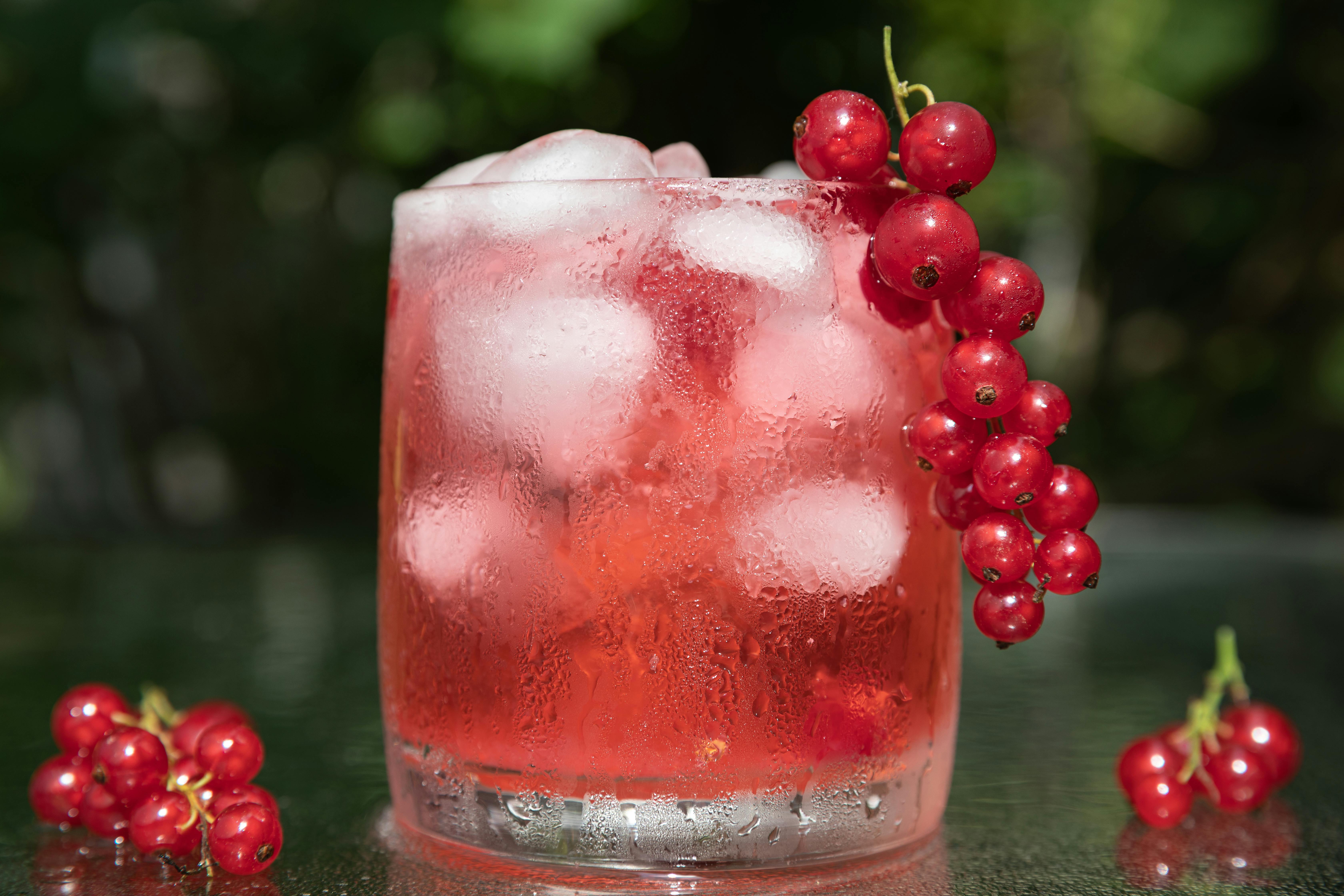 Red Currant Lemonade Photos, Download The BEST Free Red Currant ...