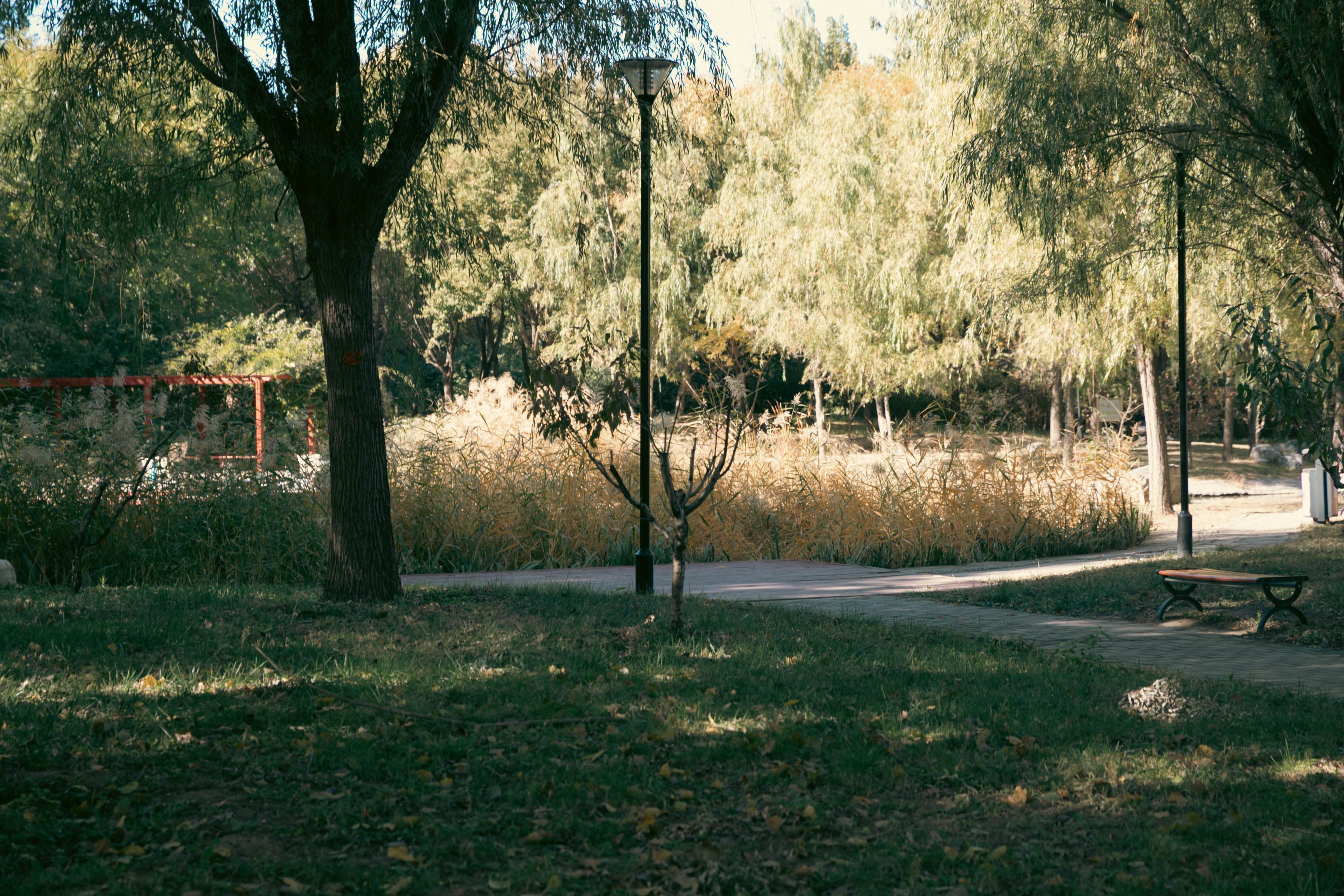 jie zhao - Fotografía