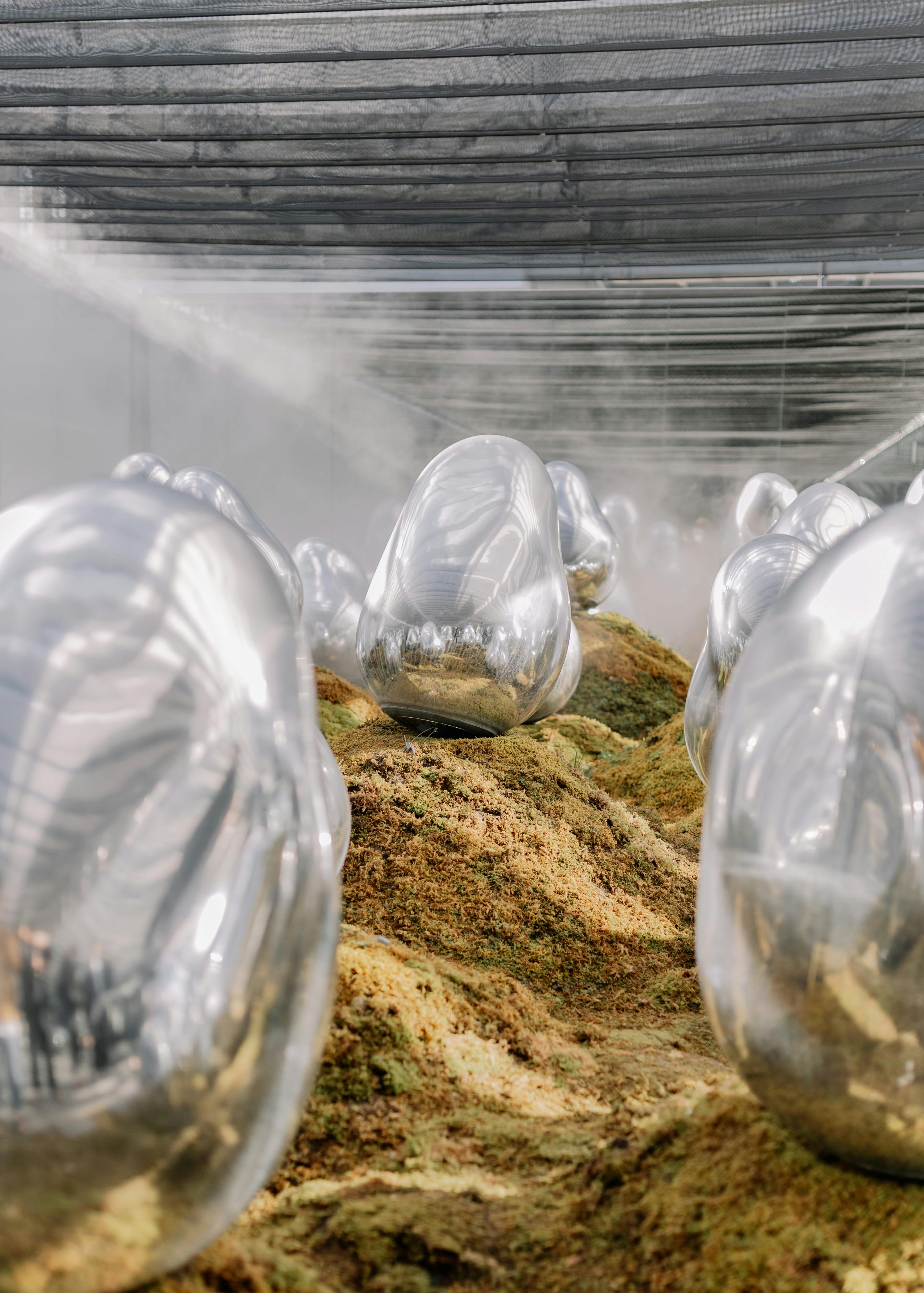 I think this might be an art installation…but what if’s it’s pod people ...