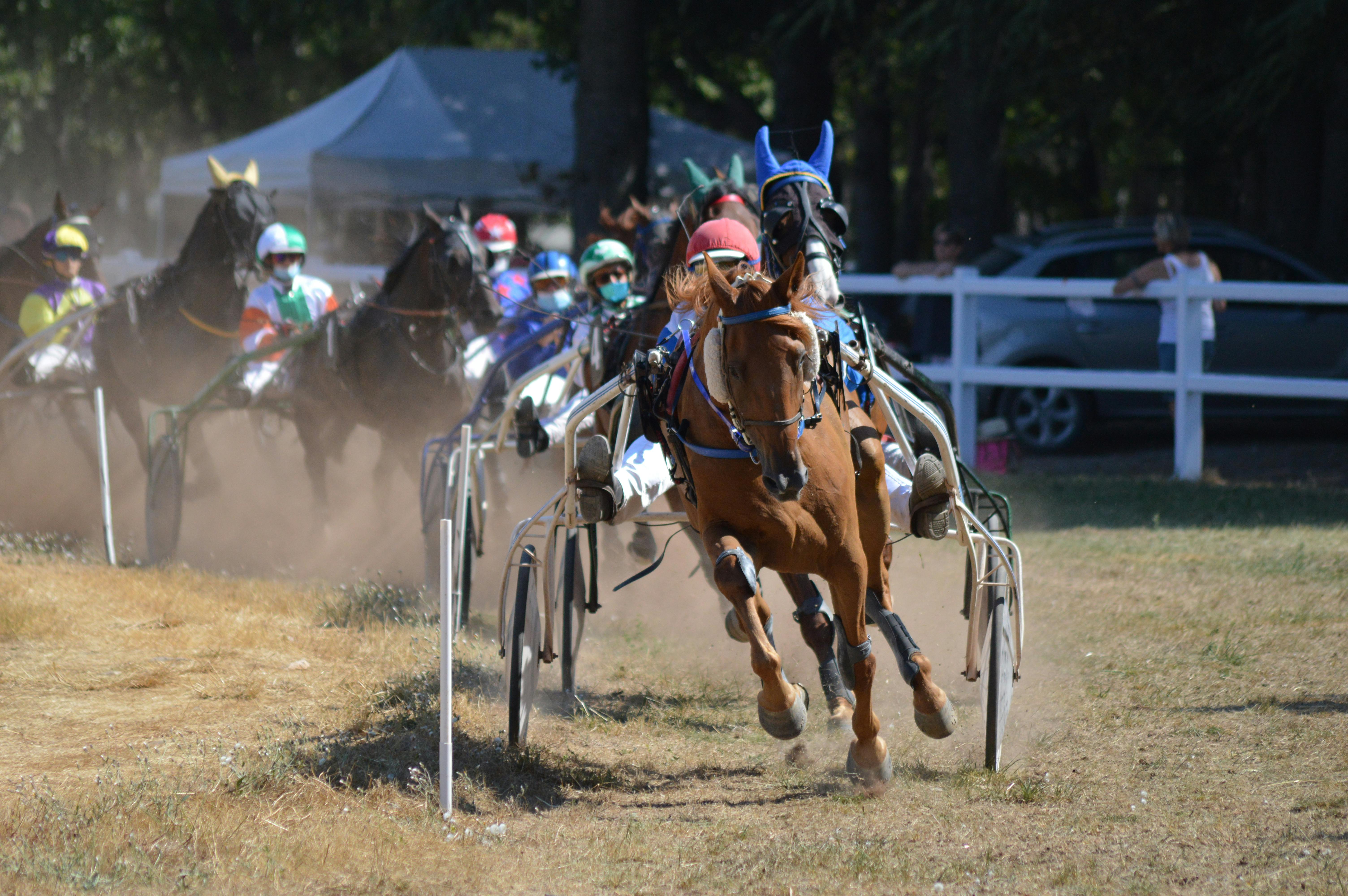 Harness Racing Competition · Free Stock Photo