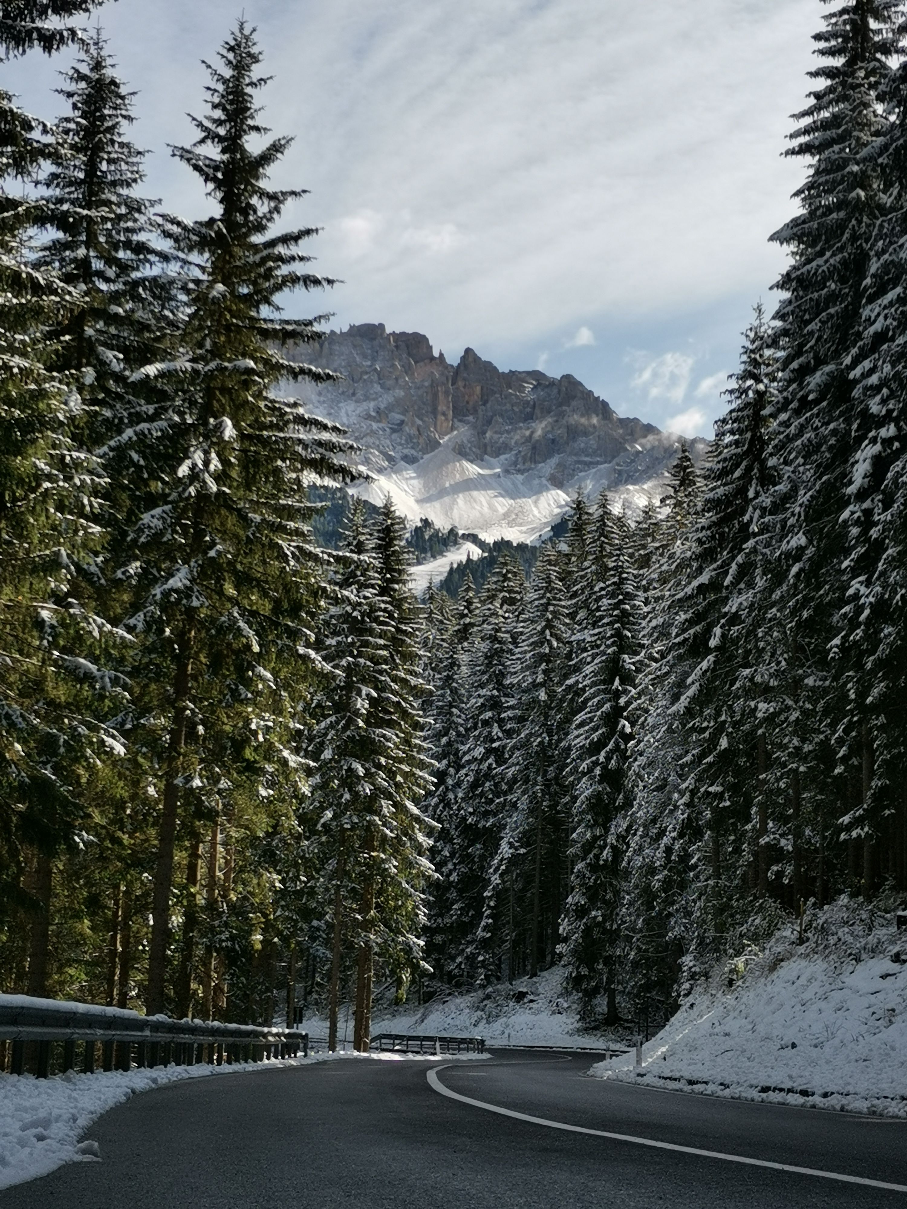 Empty Road in Evergreen Forest in Winter · Free Stock Photo